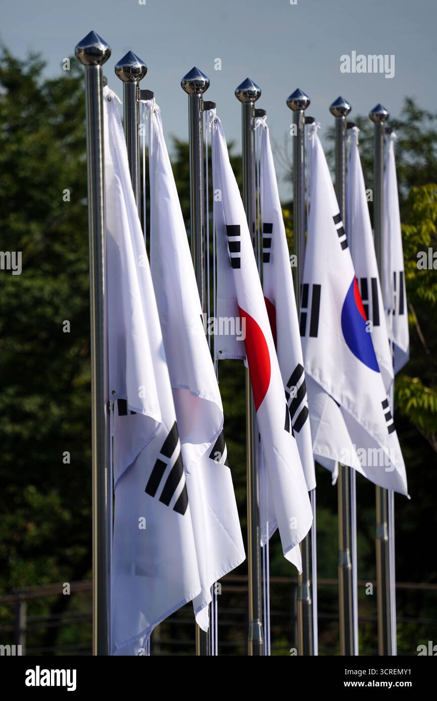 Row of South Korean National Flags on Flagpoles Stock Photo - Alamy