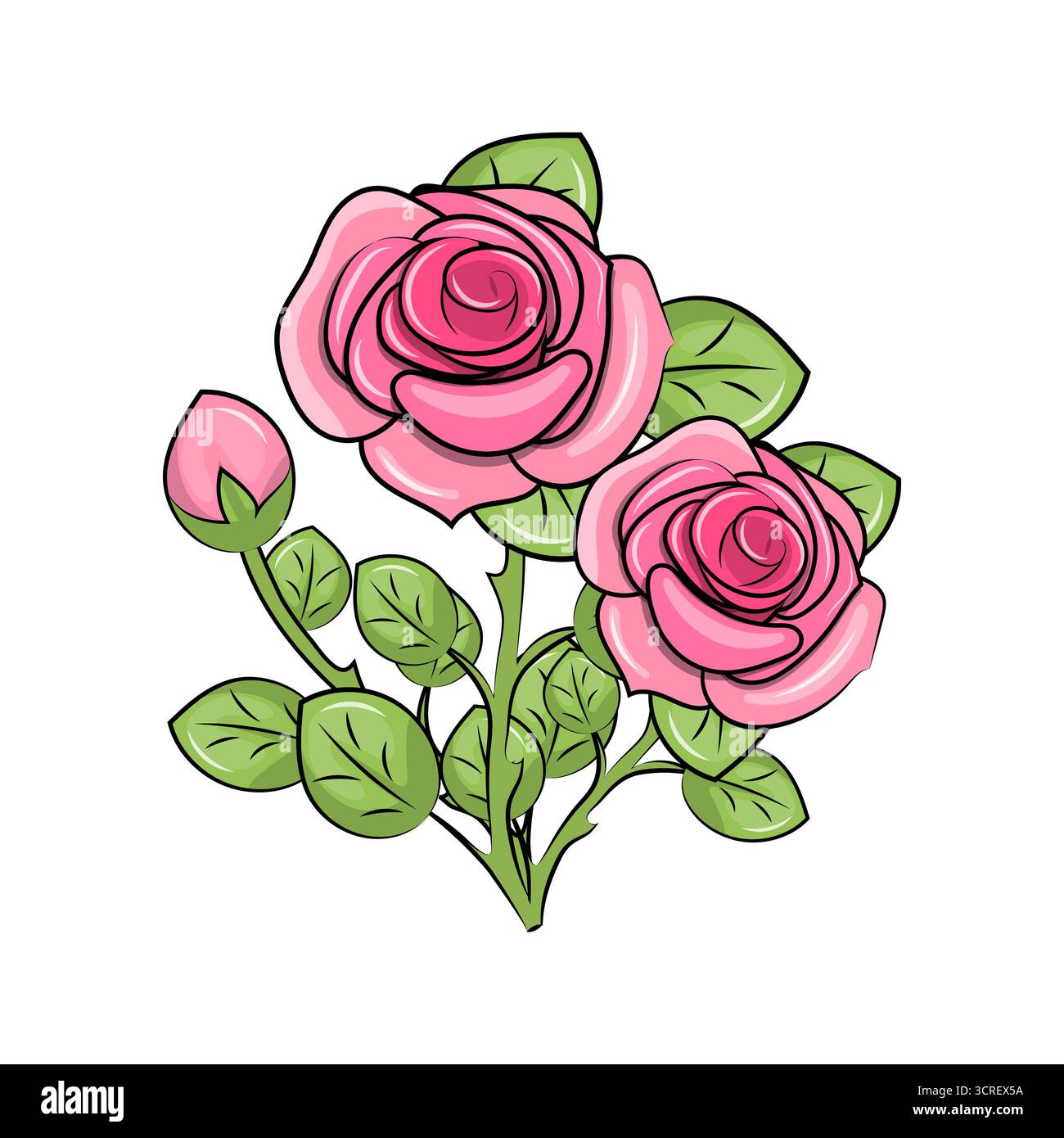 Botany flowers roses white Stock Vector Images - Alamy