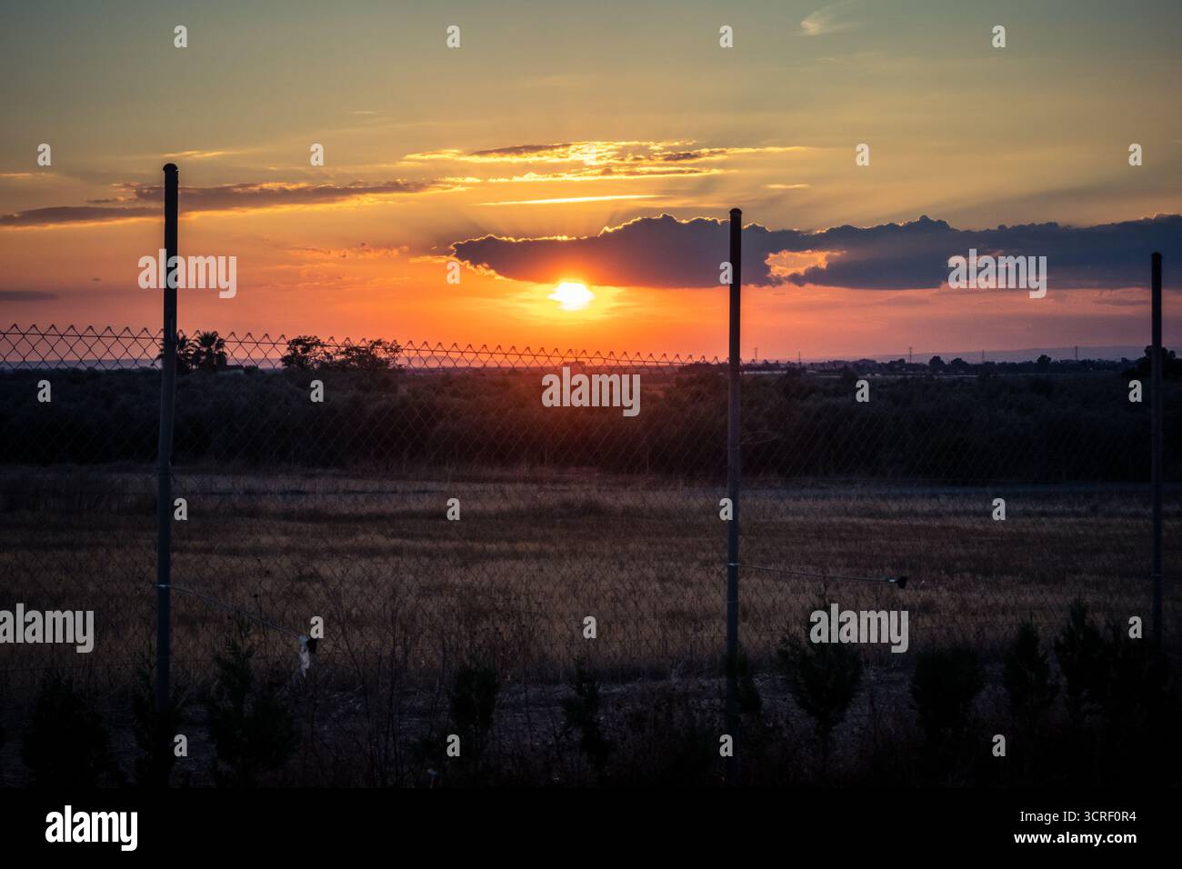 Carmona, Spain, September 30, 2025 Farmer in his Spanish ranch in the ...