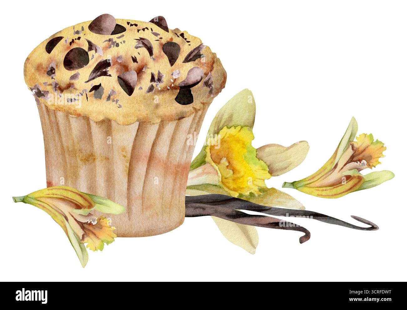 Watercolor chocolate frosted cupcake, muffin in paper wrapping with ...