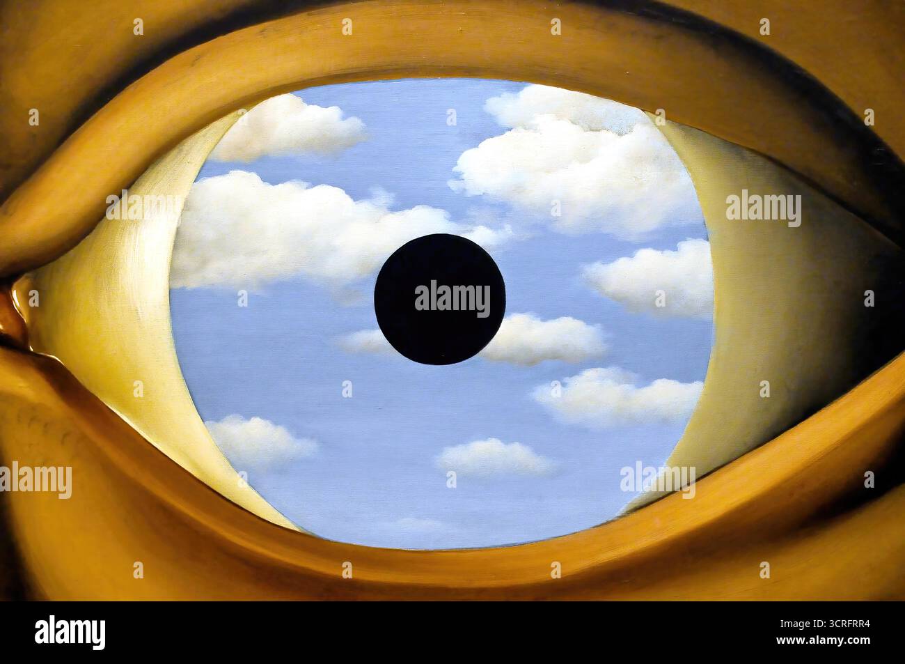 History reference Stock Vector Images - Alamy