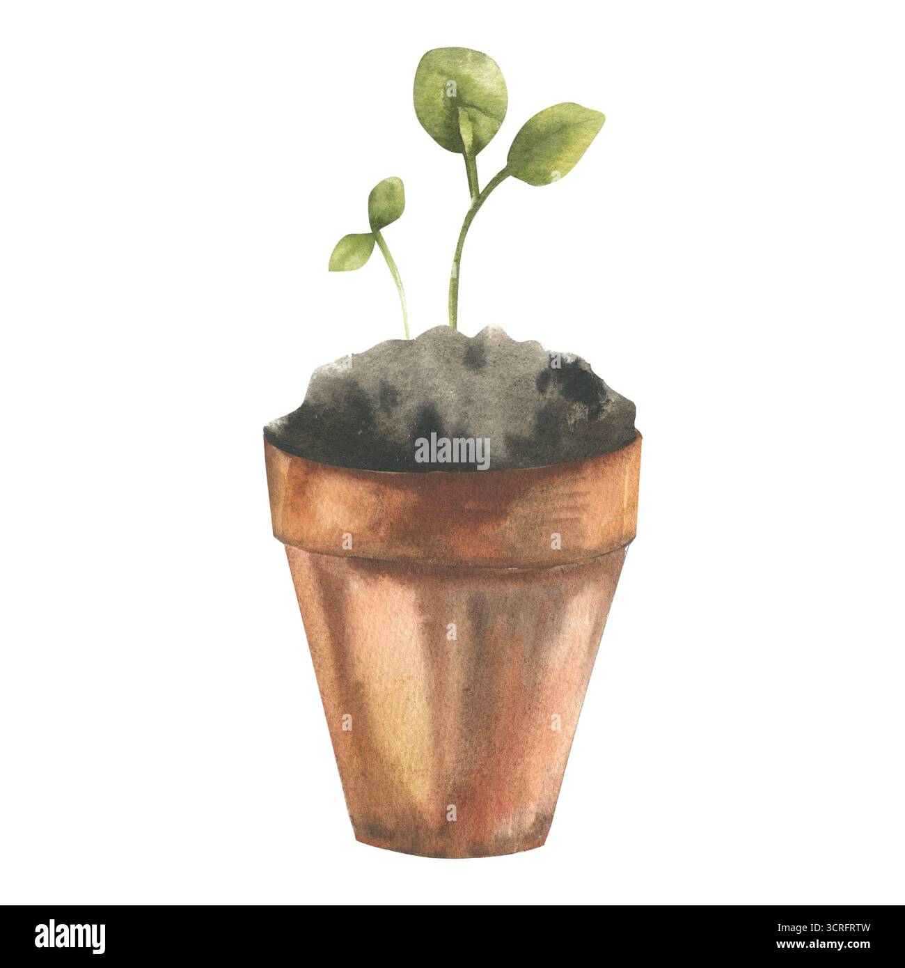 Pot in rural home Cut Out Stock Images & Pictures - Alamy