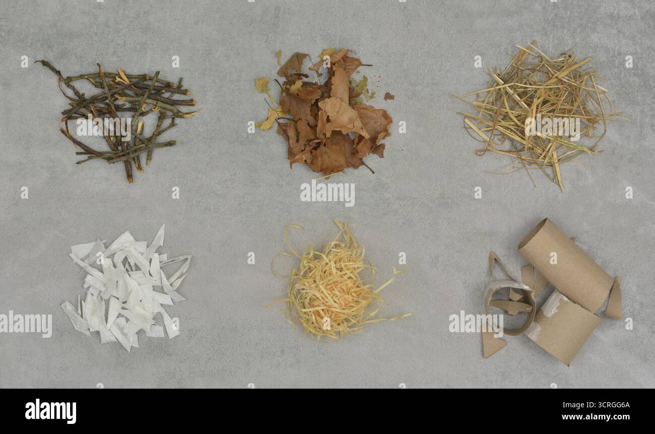 Brown compost ingredients, ingredients for the brown compost layer ...