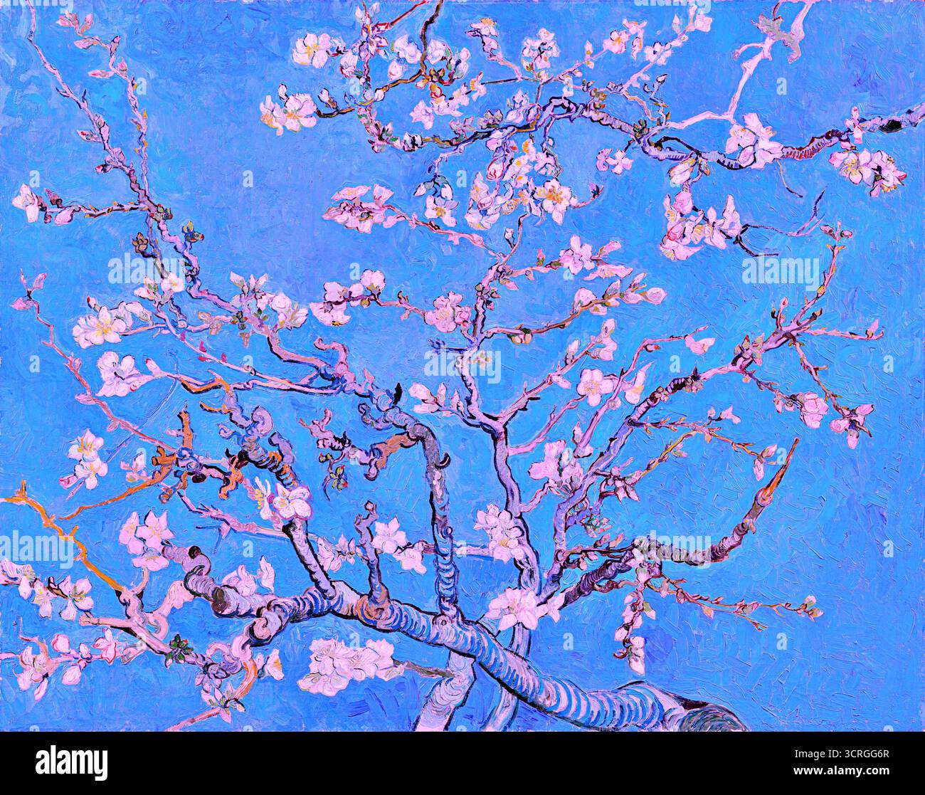 Vincent van Gogh, Almond Blossom, February 1890 Stock Vector Image ...