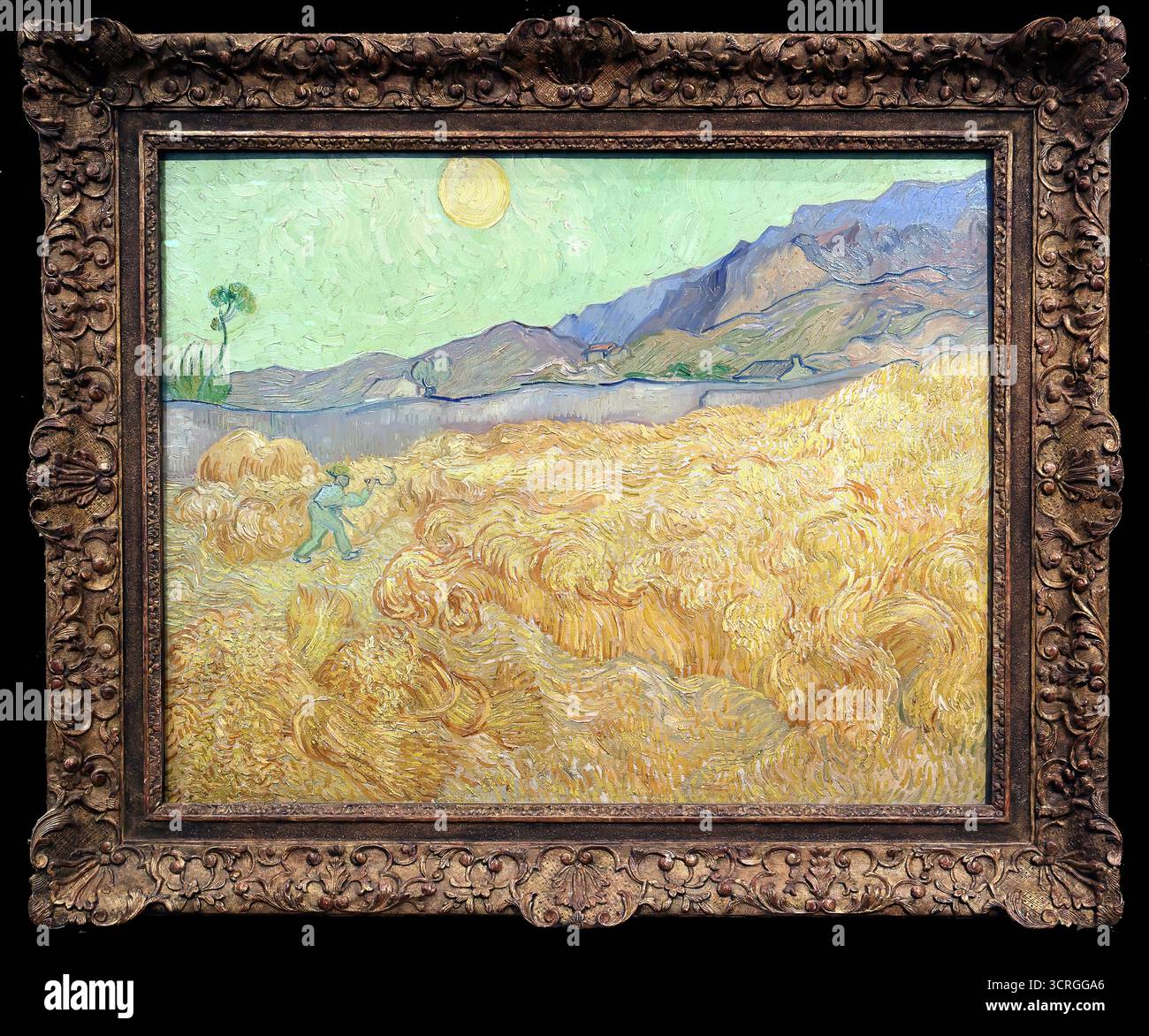 Autumn in amsterdam view Stock Vector Images - Alamy