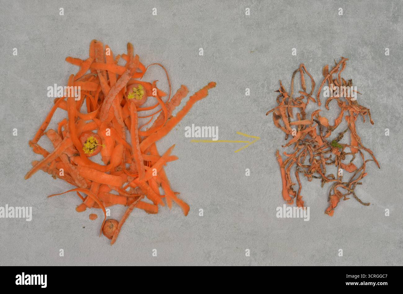 Top view stages of decomposition of carrot peelings and yellow arrow ...