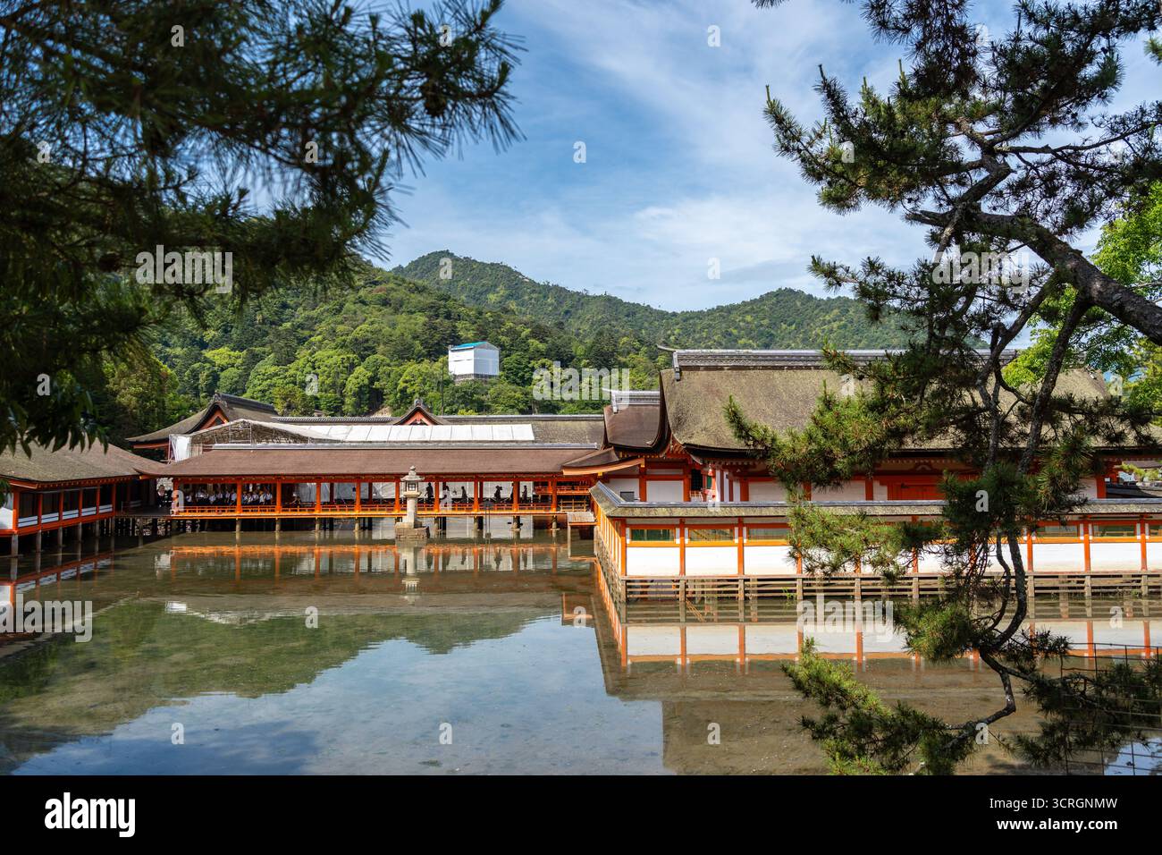 Traditional wooden buildings of Itsukushima shrine, a historic Shinto ...