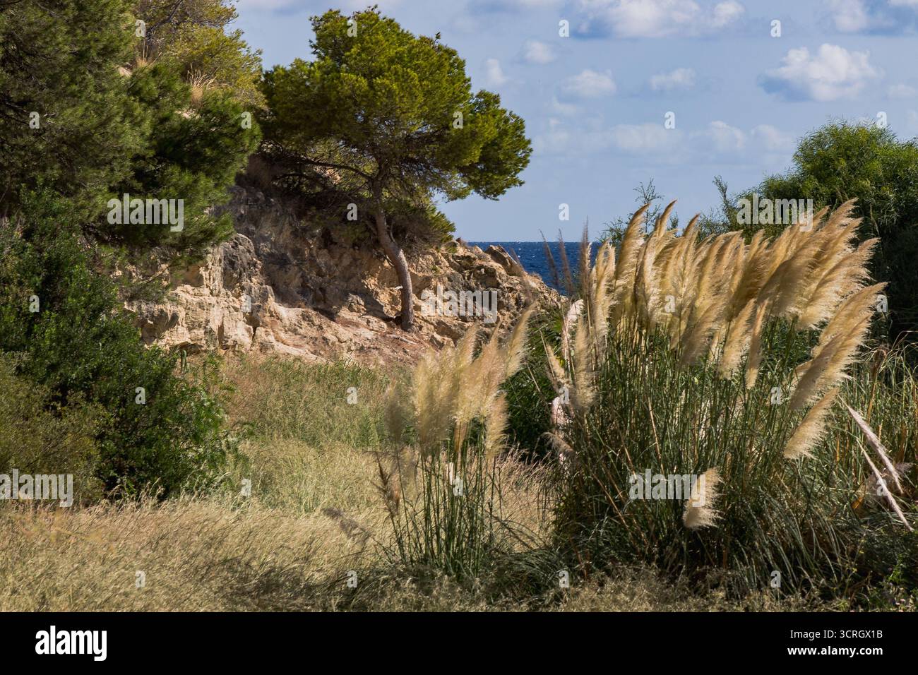 Golden path azure coast hi-res stock photography and images - Alamy