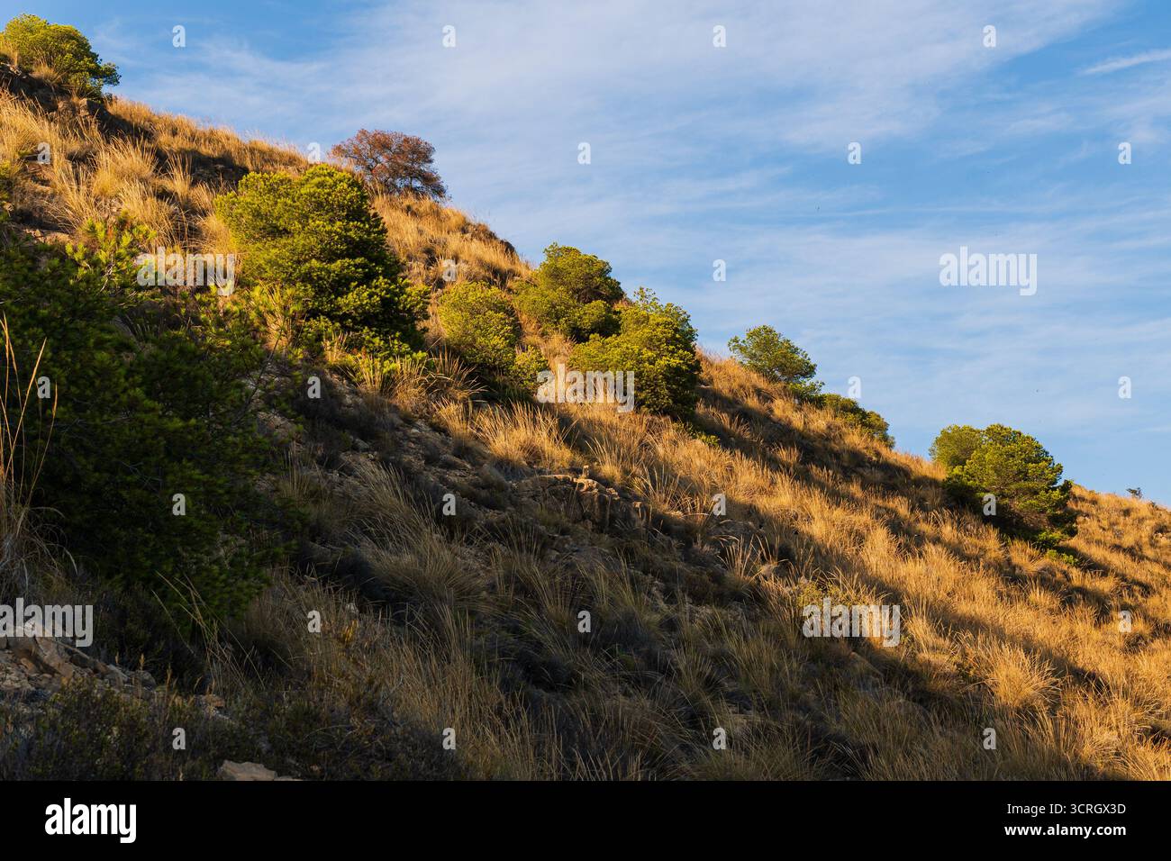 Beautiful warm light shadows hi-res stock photography and images - Alamy