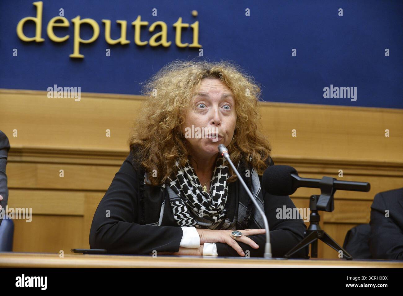 Rome, the Chamber of Deputies, held a press conference with ...