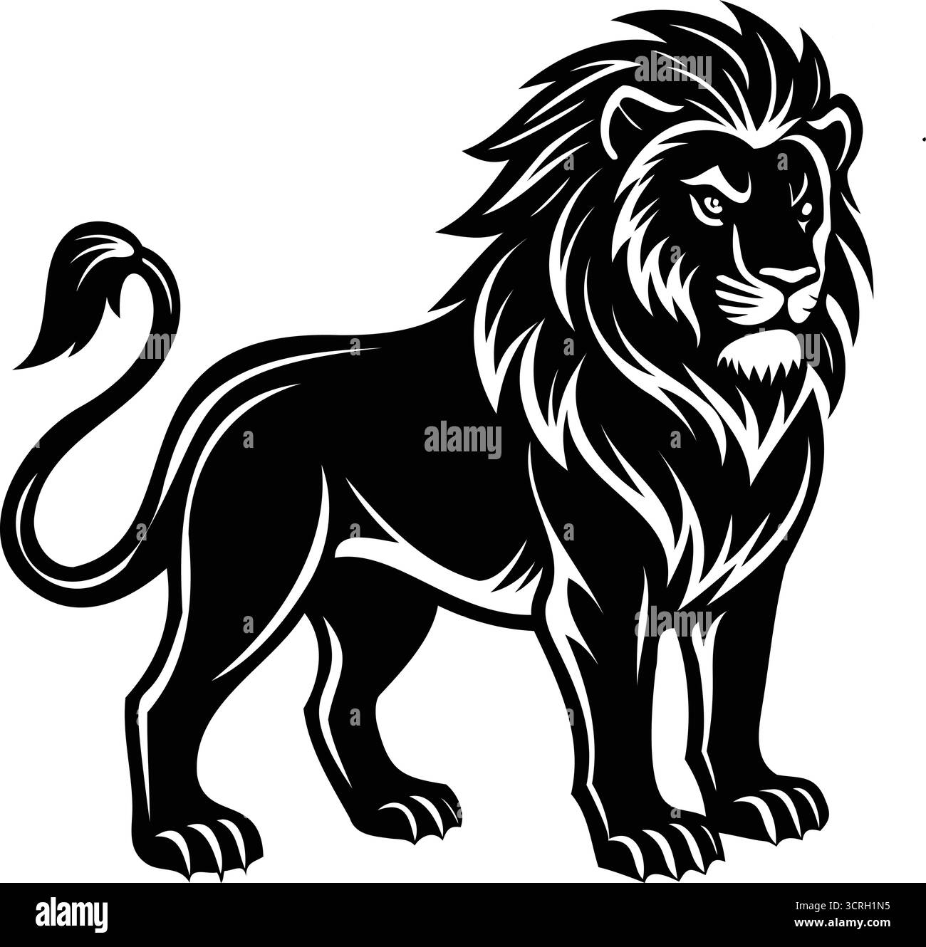 Proud lion Black and White Stock Photos & Images - Alamy