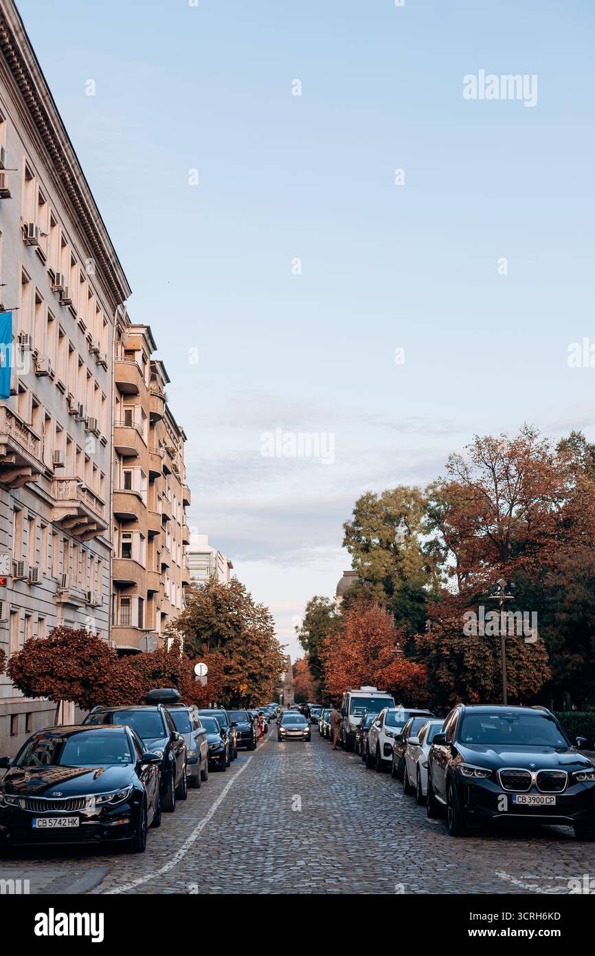 Cobblestone city street lined hi-res stock photography and images - Alamy