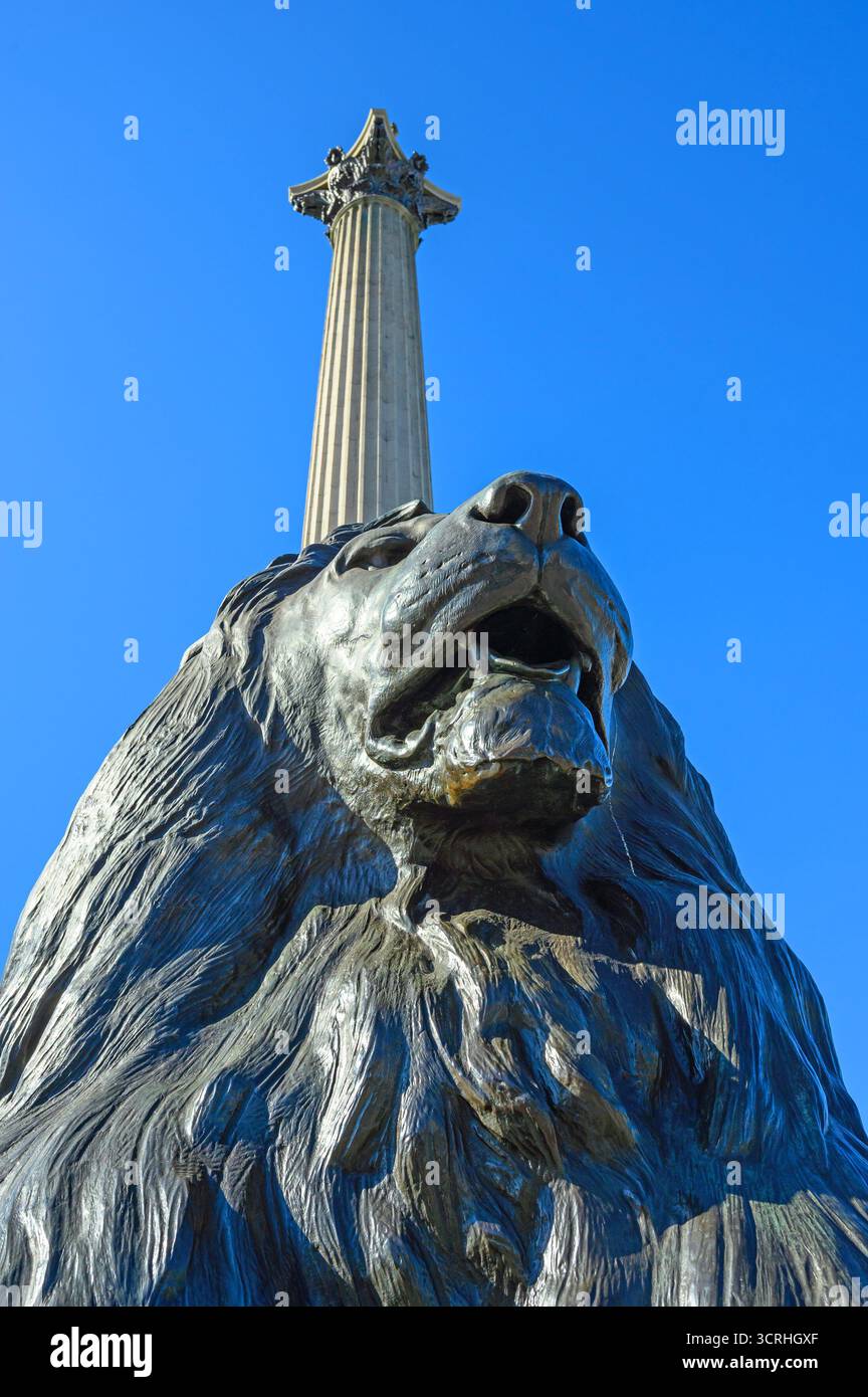 Nelsons column face hi-res stock photography and images - Alamy