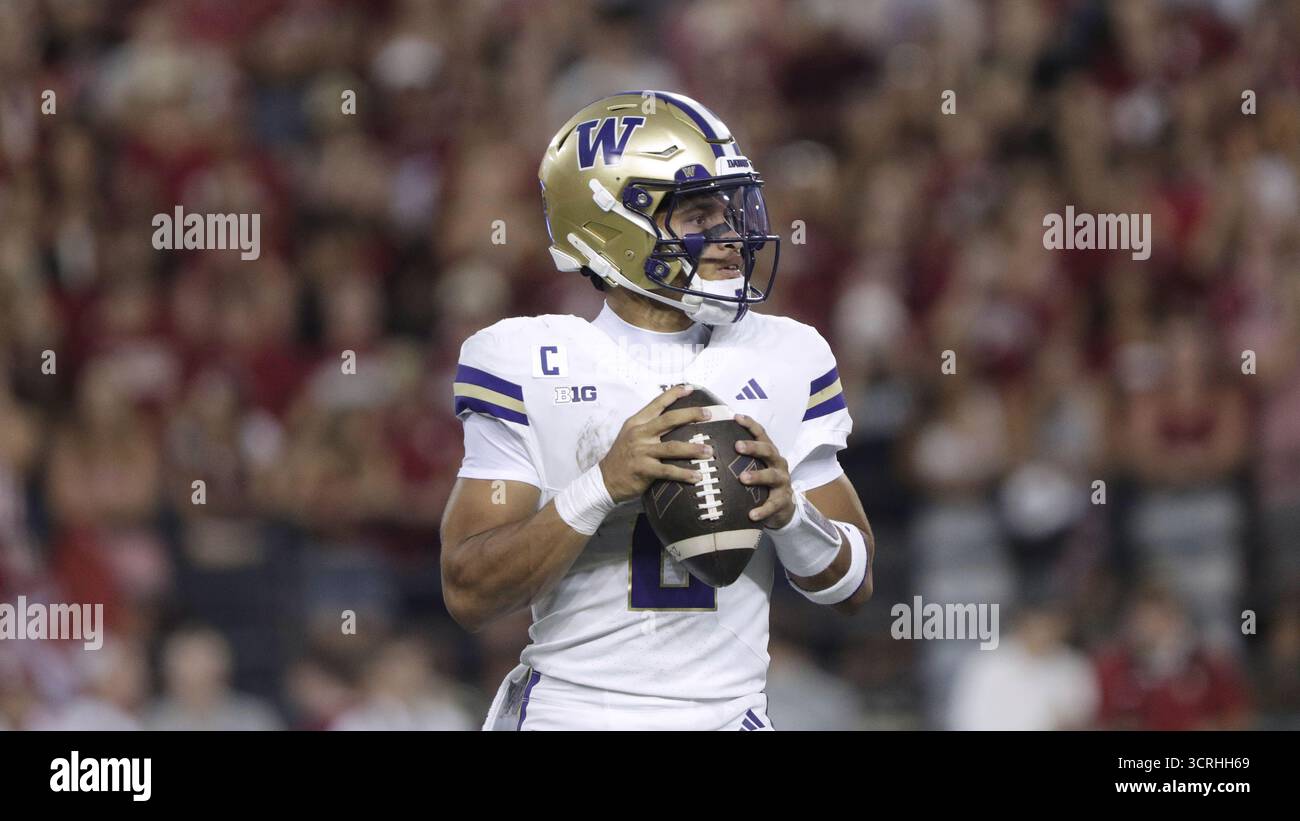 Washington quarterback Demond Williams Jr. looks for a receiver during ...