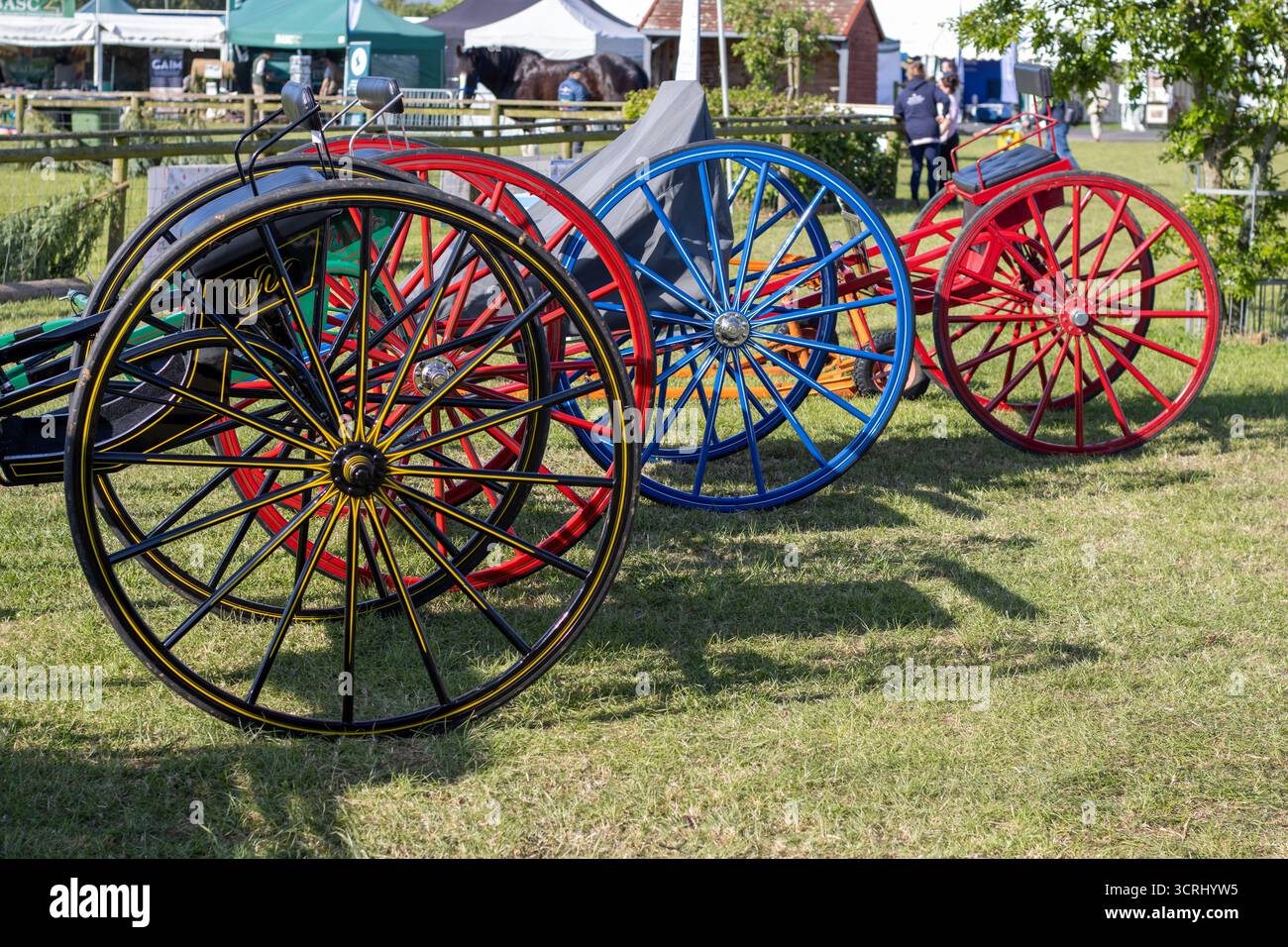 group of 4 traditional heavy horse cart shire carriage at the Devon ...