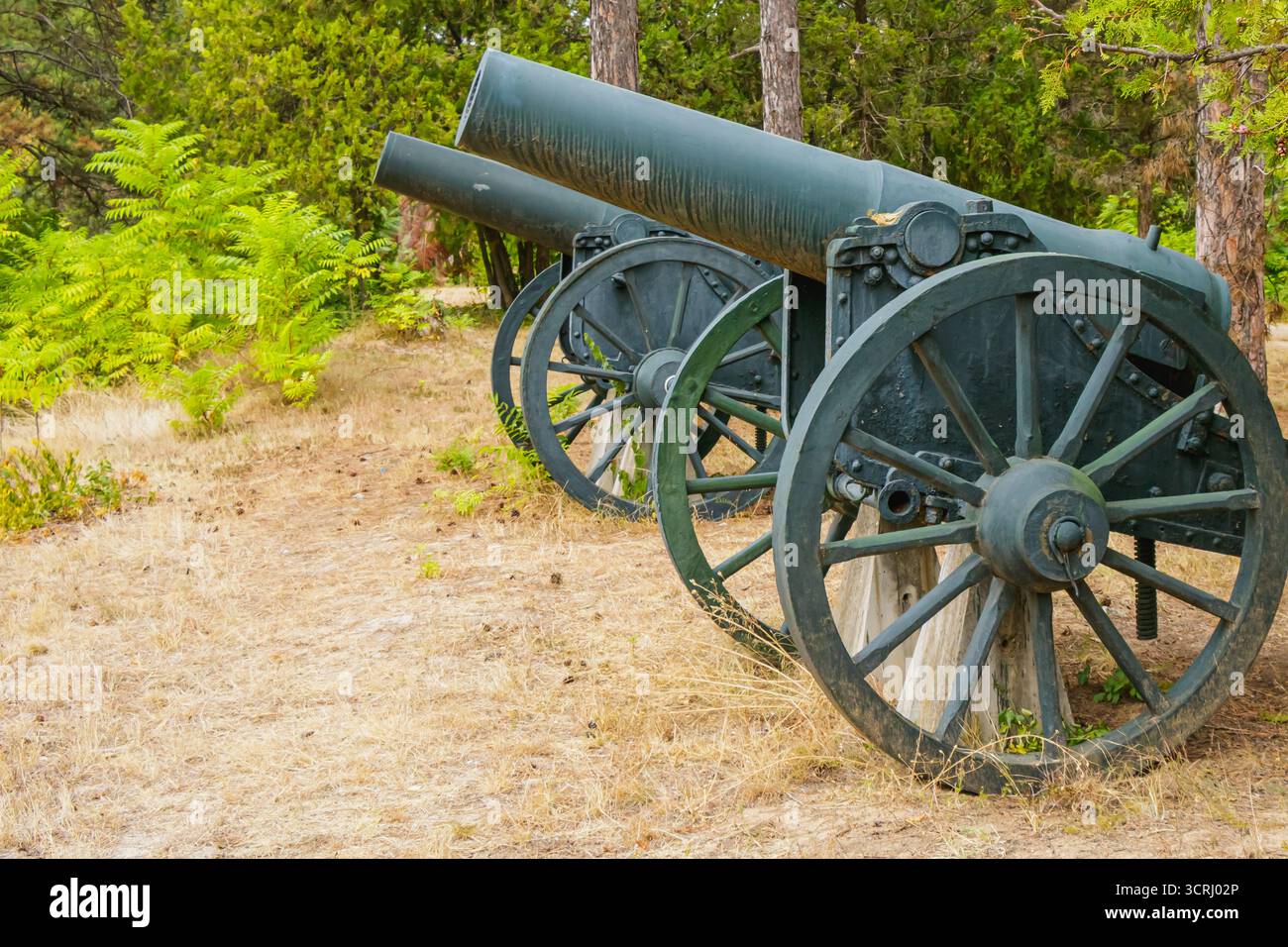 Showcasing cannons hi-res stock photography and images - Alamy