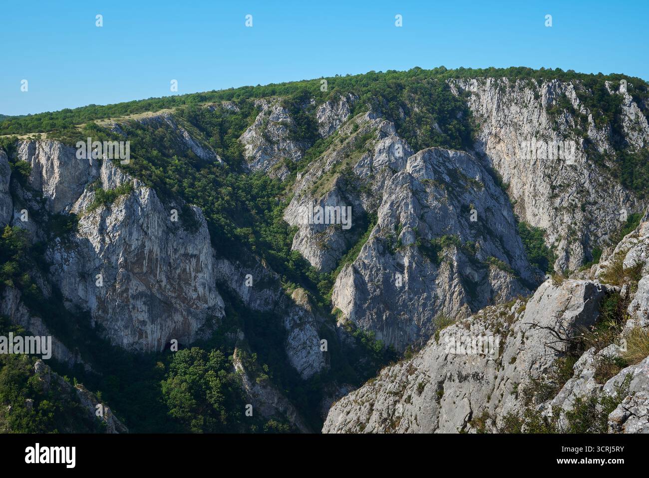 Turda Gorge (Cheile Turzii) Nature Reserve contain one of the richest ...