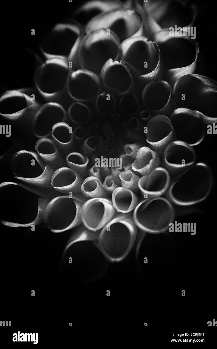 Bokeh lighting Black and White Stock Photos & Images - Alamy