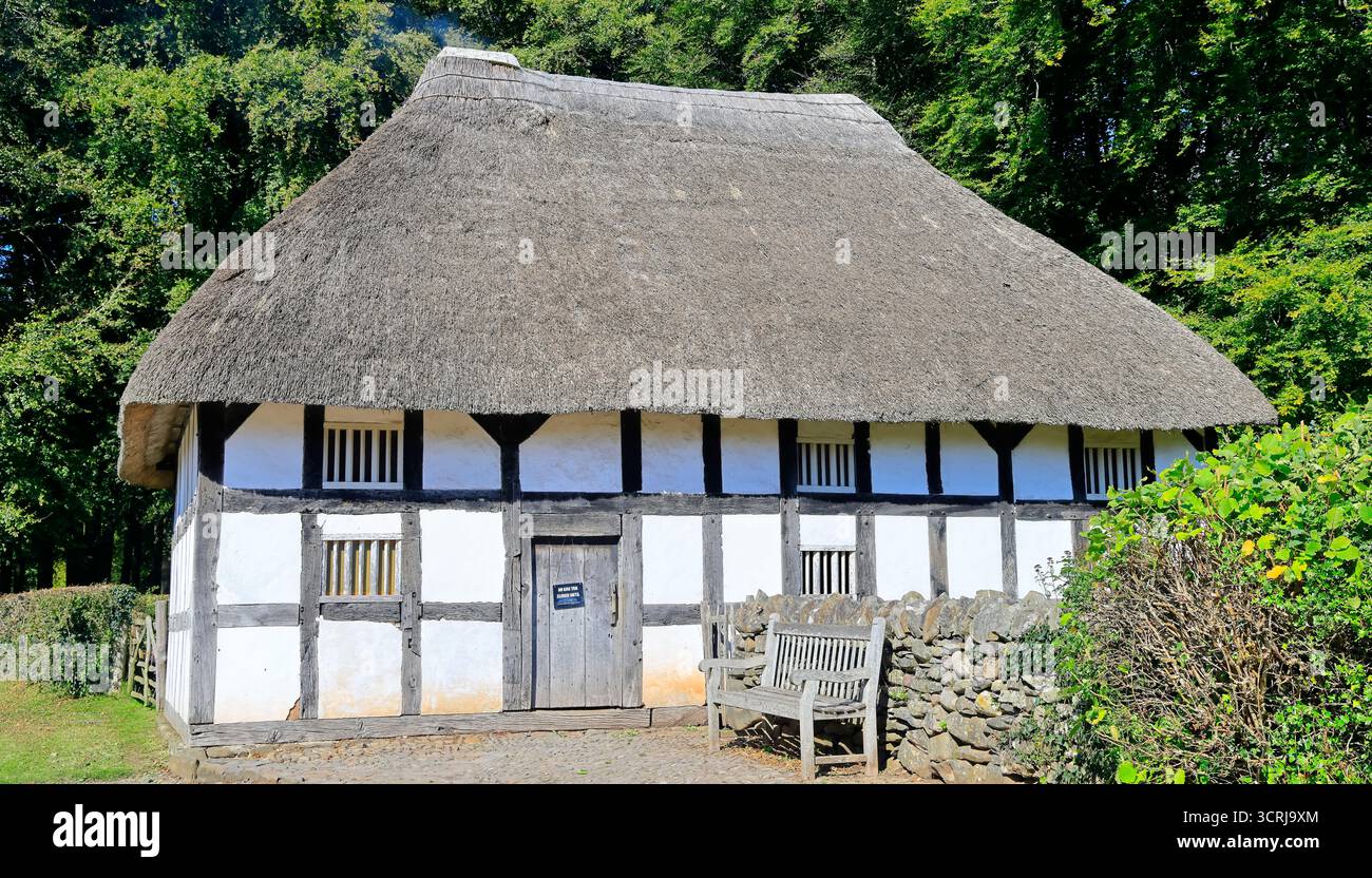 Abernodwydd timber-framed farmhouse with thatched roof, St Fagan's ...