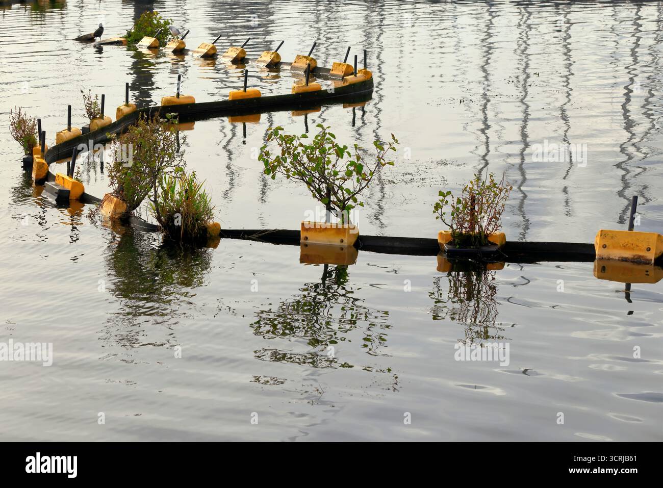 Floating rubbish boom with added plants, Cardiff Bay, South Wales ...