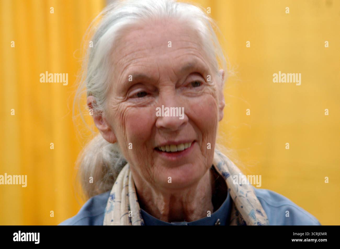 Jane Goodall, photographed at the AARP Life@50+ convention in Los ...