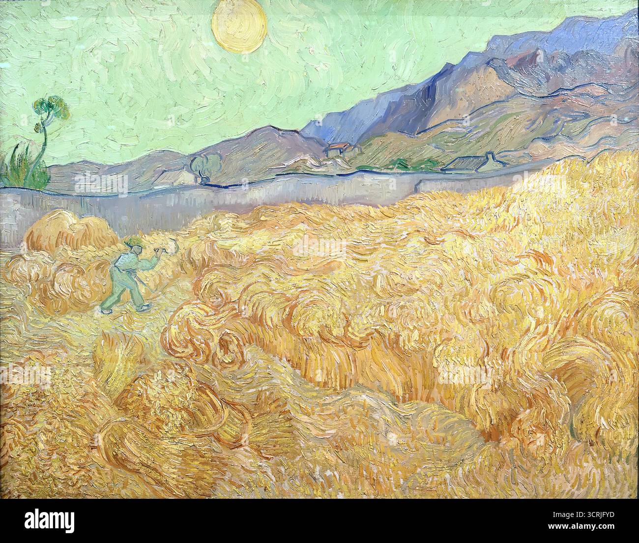 Autumn in amsterdam view Stock Vector Images - Alamy