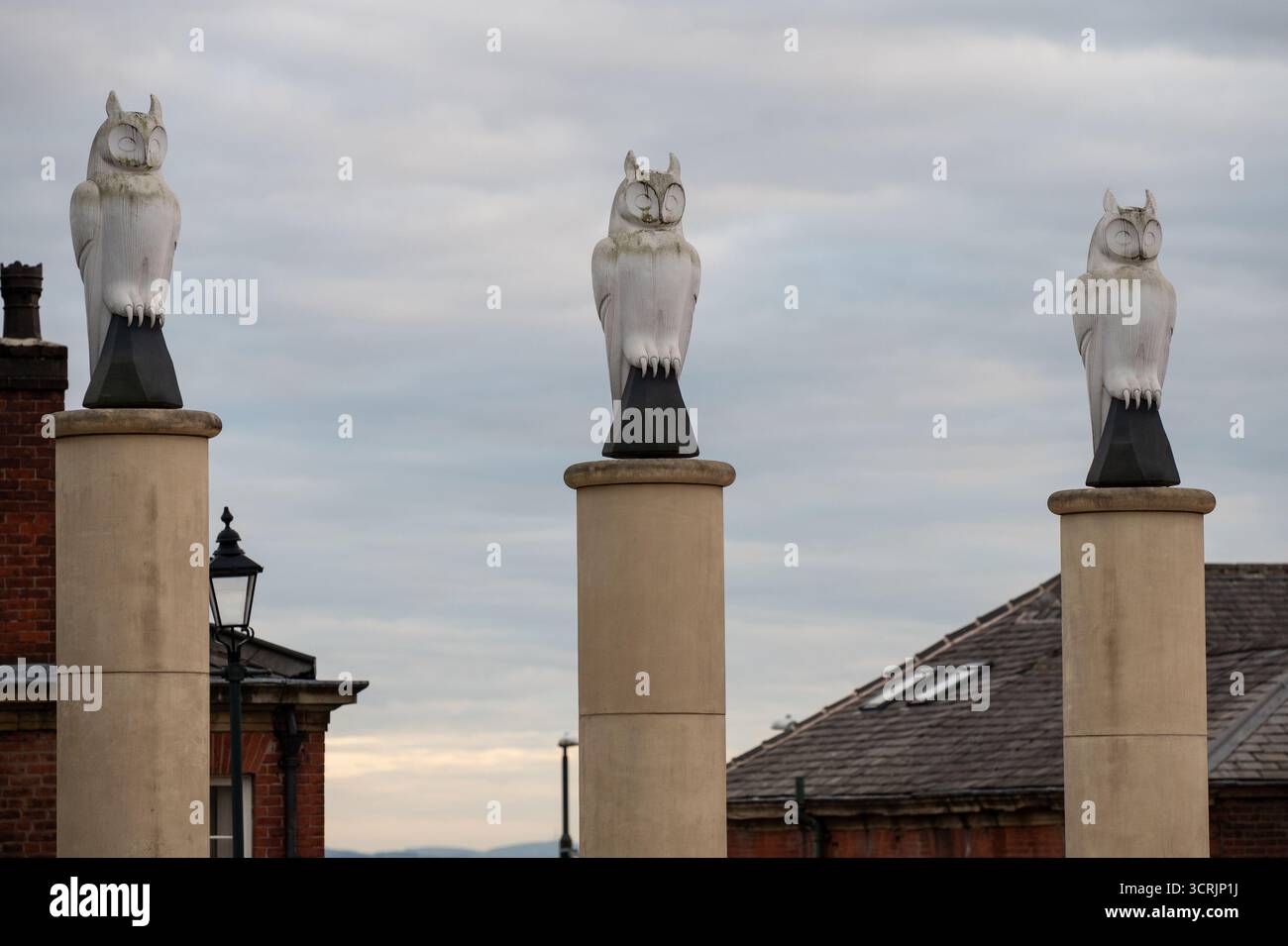 The 'Oldham Owls' public art installation, which includes three ...