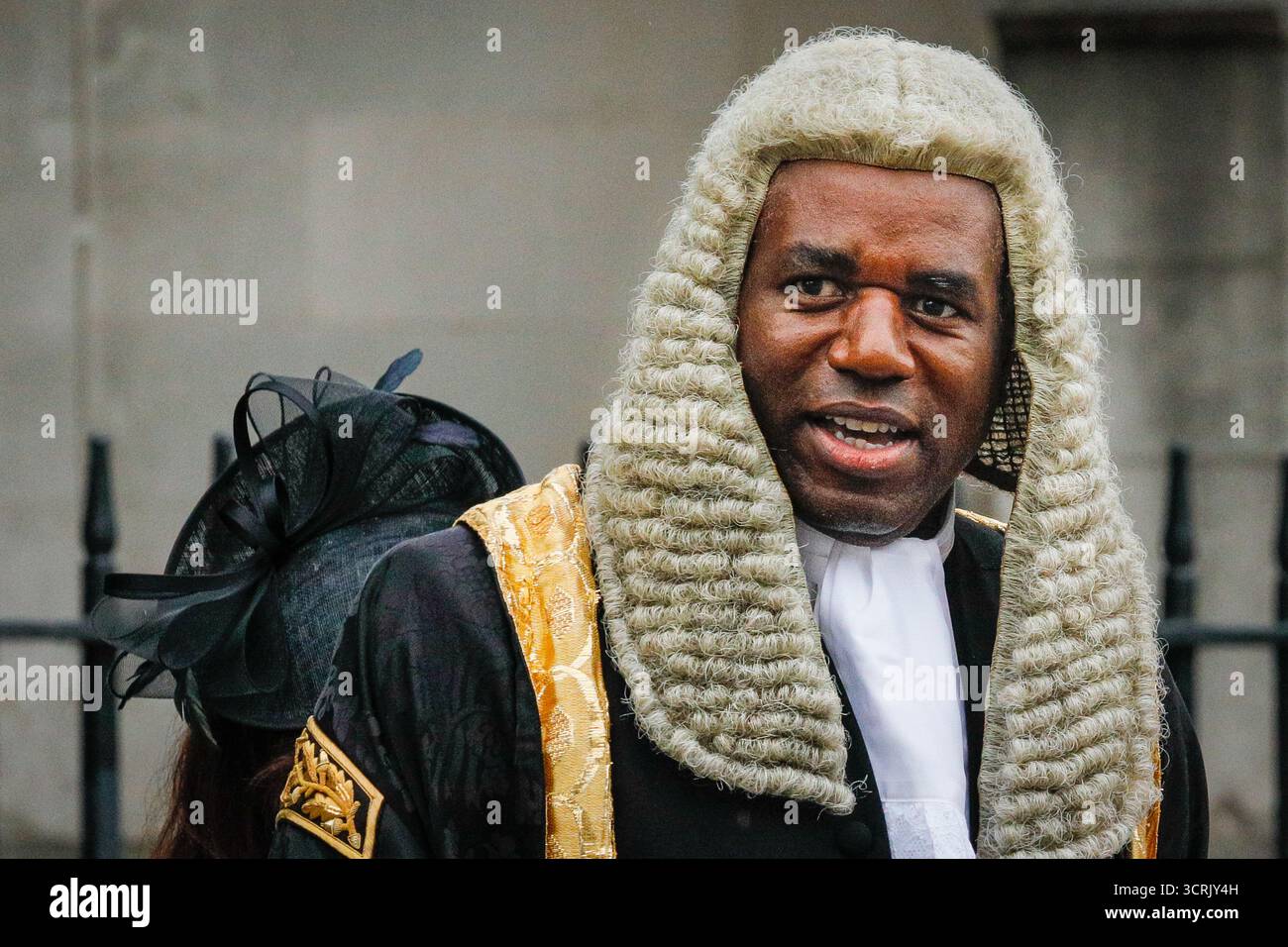David lammy in robe and wig hi-res stock photography and images - Alamy