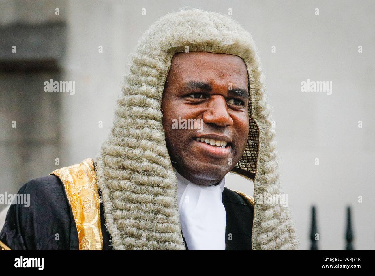 David lammy in robe and wig hi-res stock photography and images - Alamy