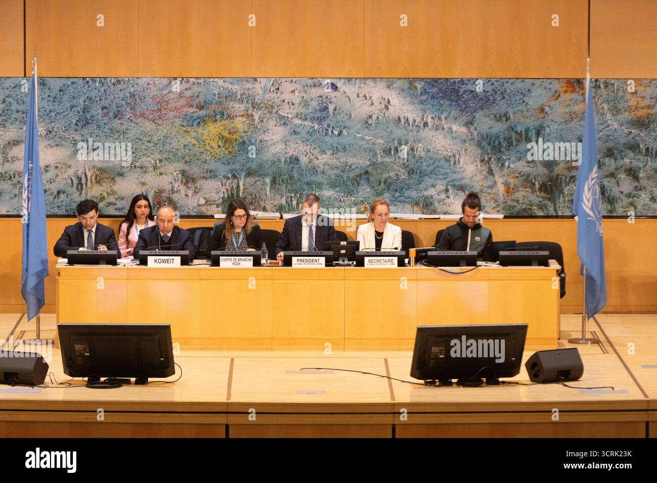 Panel of UN officials presiding over the Committee on Enforced ...