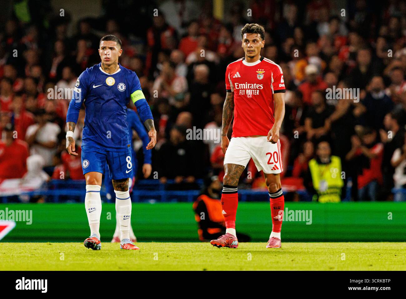 Enzo Fernandez and Richard Rios seen during Champions League league ...