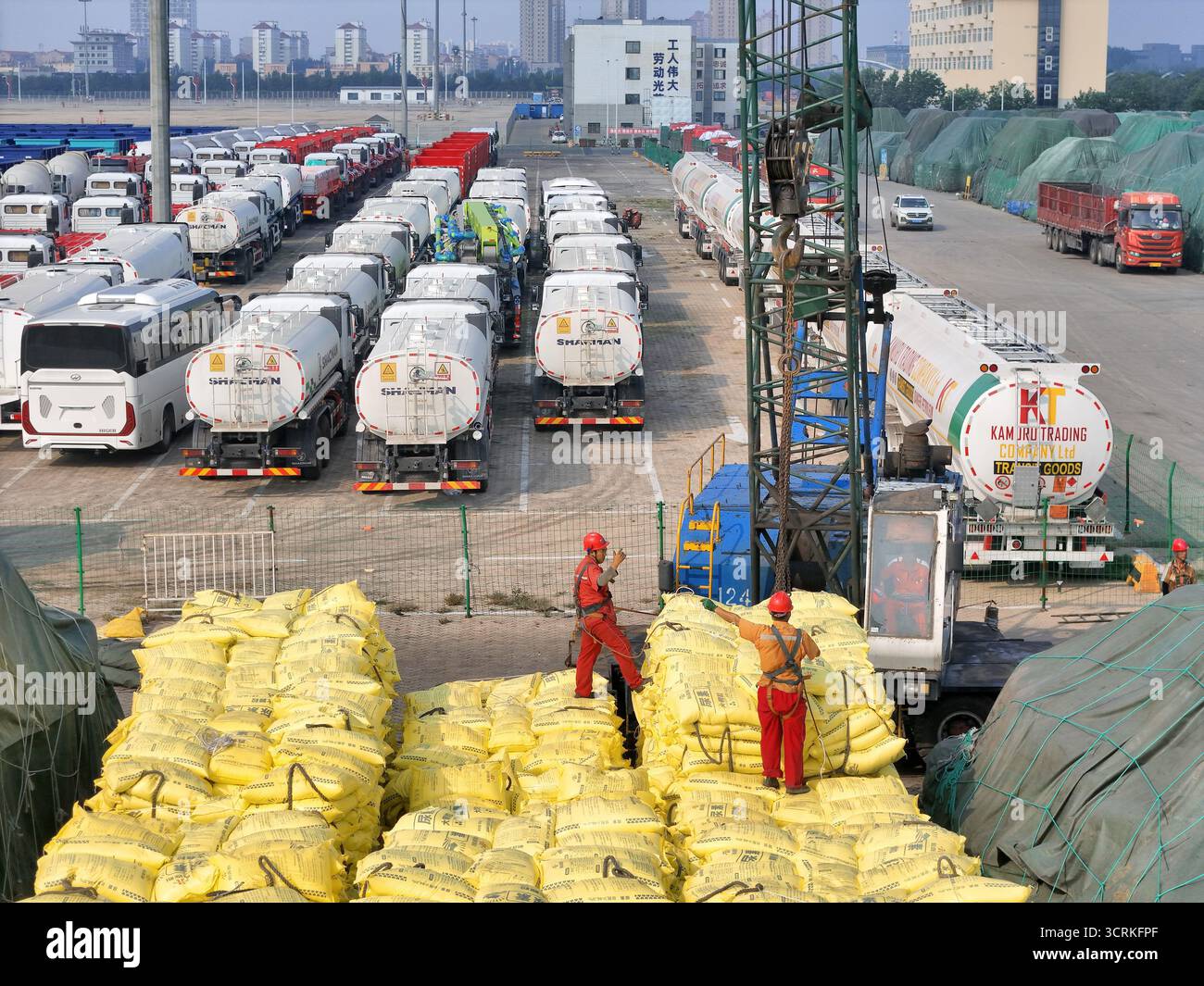YANTAI, CHINA - OCTOBER 1, 2025 - Workers are loading fertilizers at ...