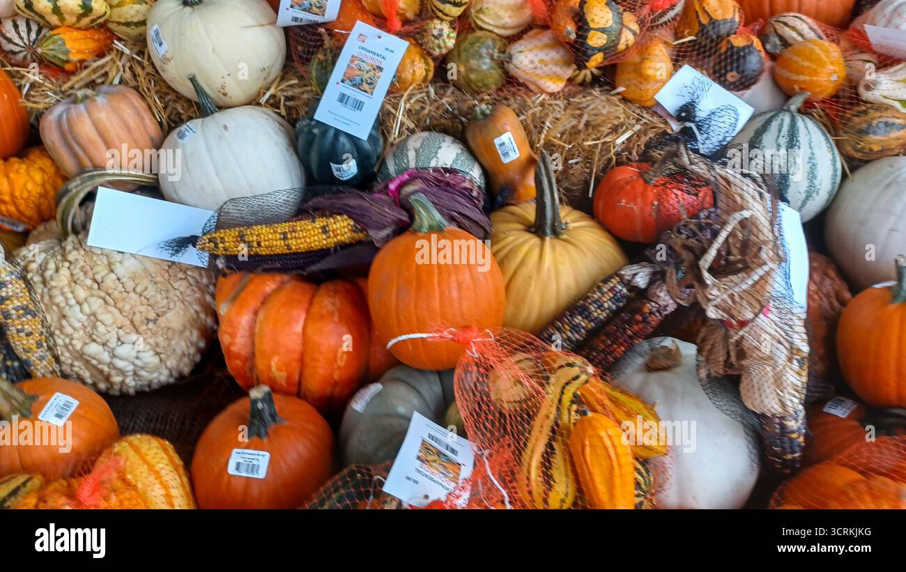 Toronto, ON, Canada - October 1, 2025: A decorative market display ...