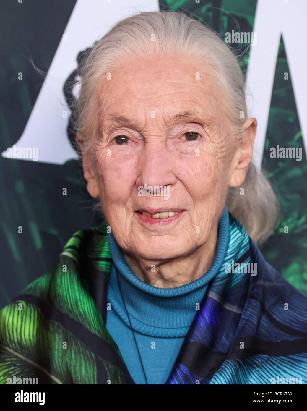 (FILE) Jane Goodall Dead At 91. Jane Goodall, the famed primatologist ...