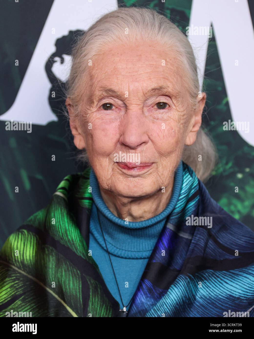 (FILE) Jane Goodall Dead At 91. Jane Goodall, the famed primatologist ...