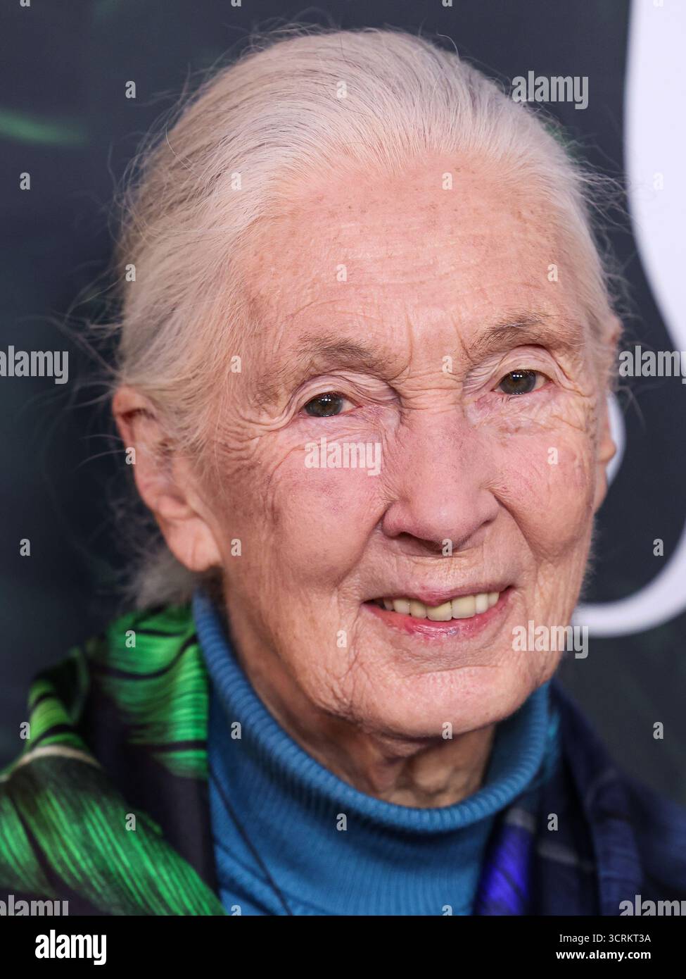(FILE) Jane Goodall Dead At 91. Jane Goodall, the famed primatologist ...
