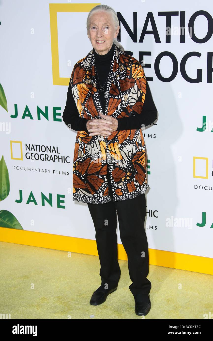 (FILE) Jane Goodall Dead At 91. Jane Goodall, the famed primatologist ...