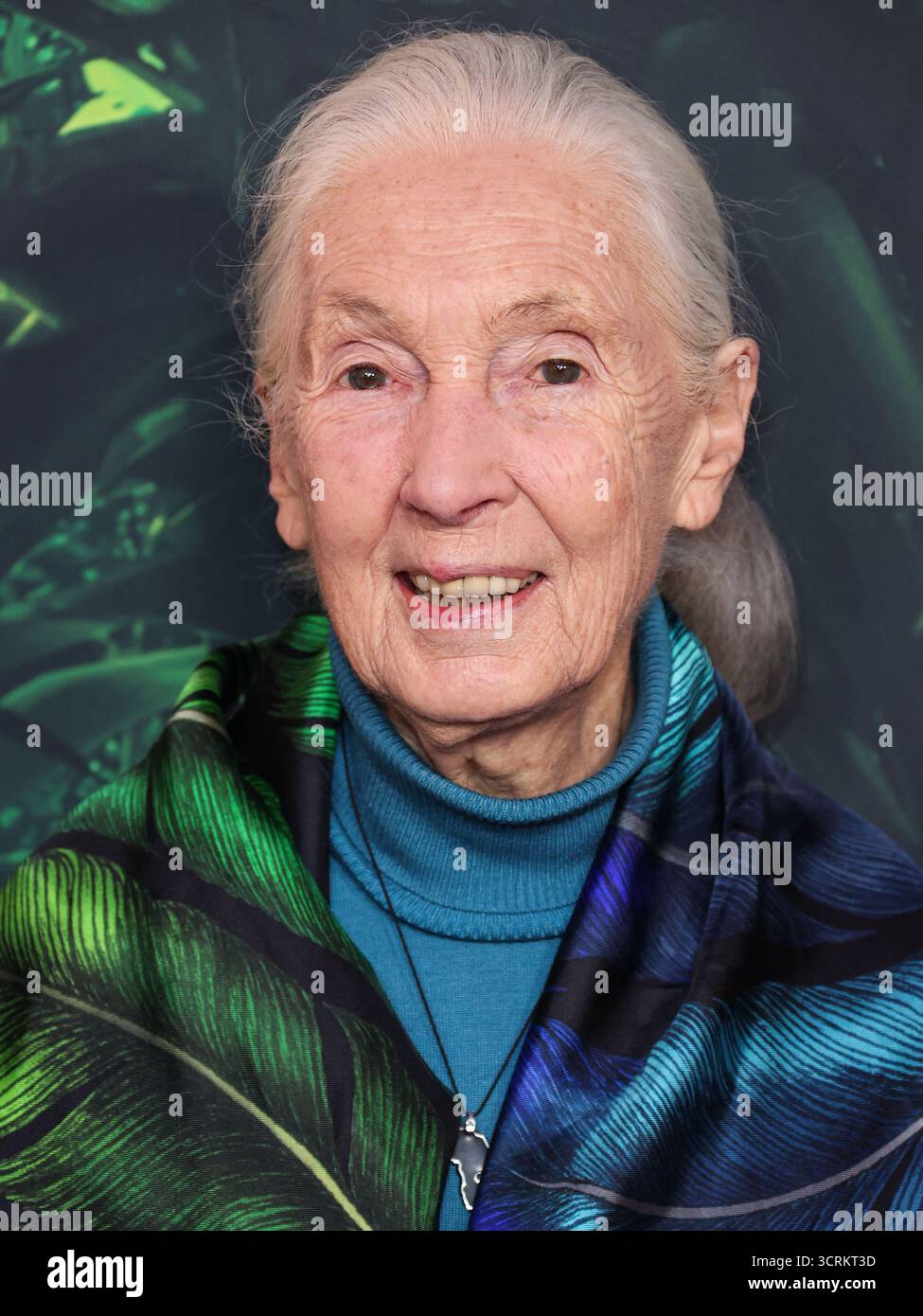 (FILE) Jane Goodall Dead At 91. Jane Goodall, the famed primatologist ...