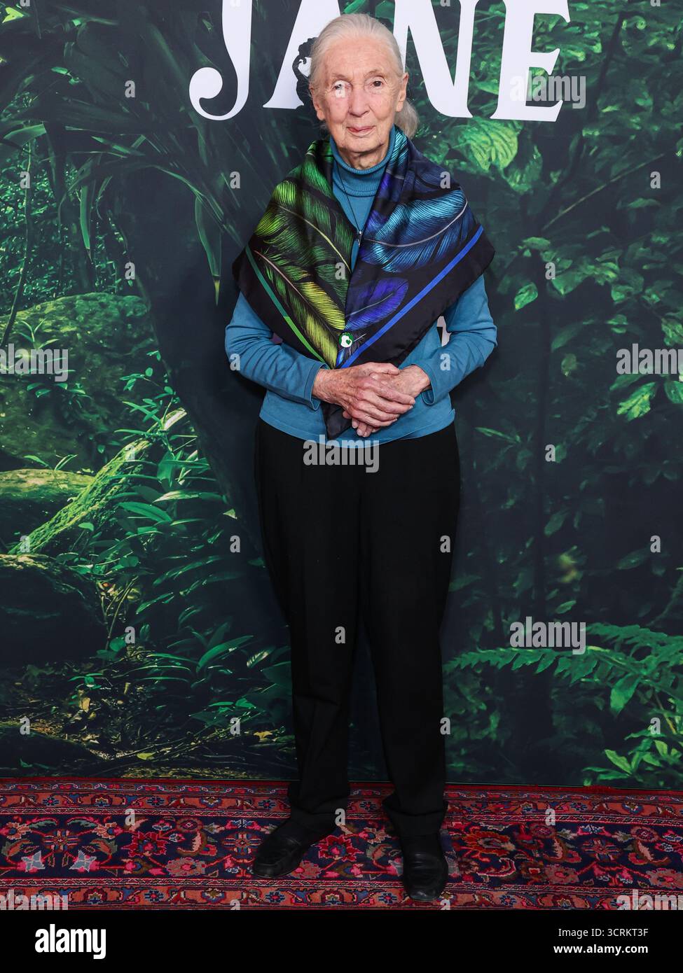 (FILE) Jane Goodall Dead At 91. Jane Goodall, the famed primatologist ...