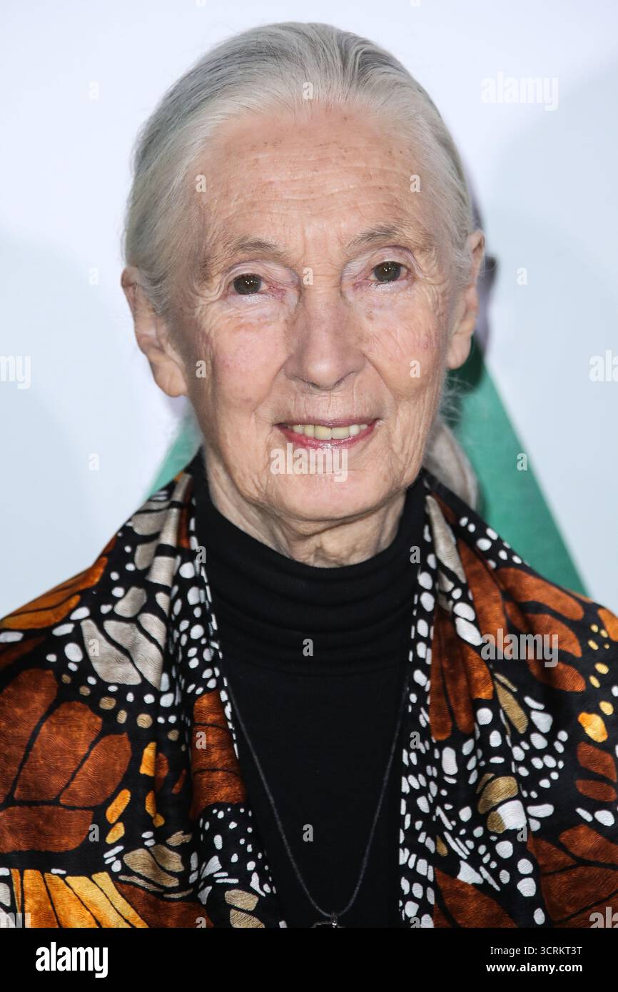 (FILE) Jane Goodall Dead At 91. Jane Goodall, the famed primatologist ...