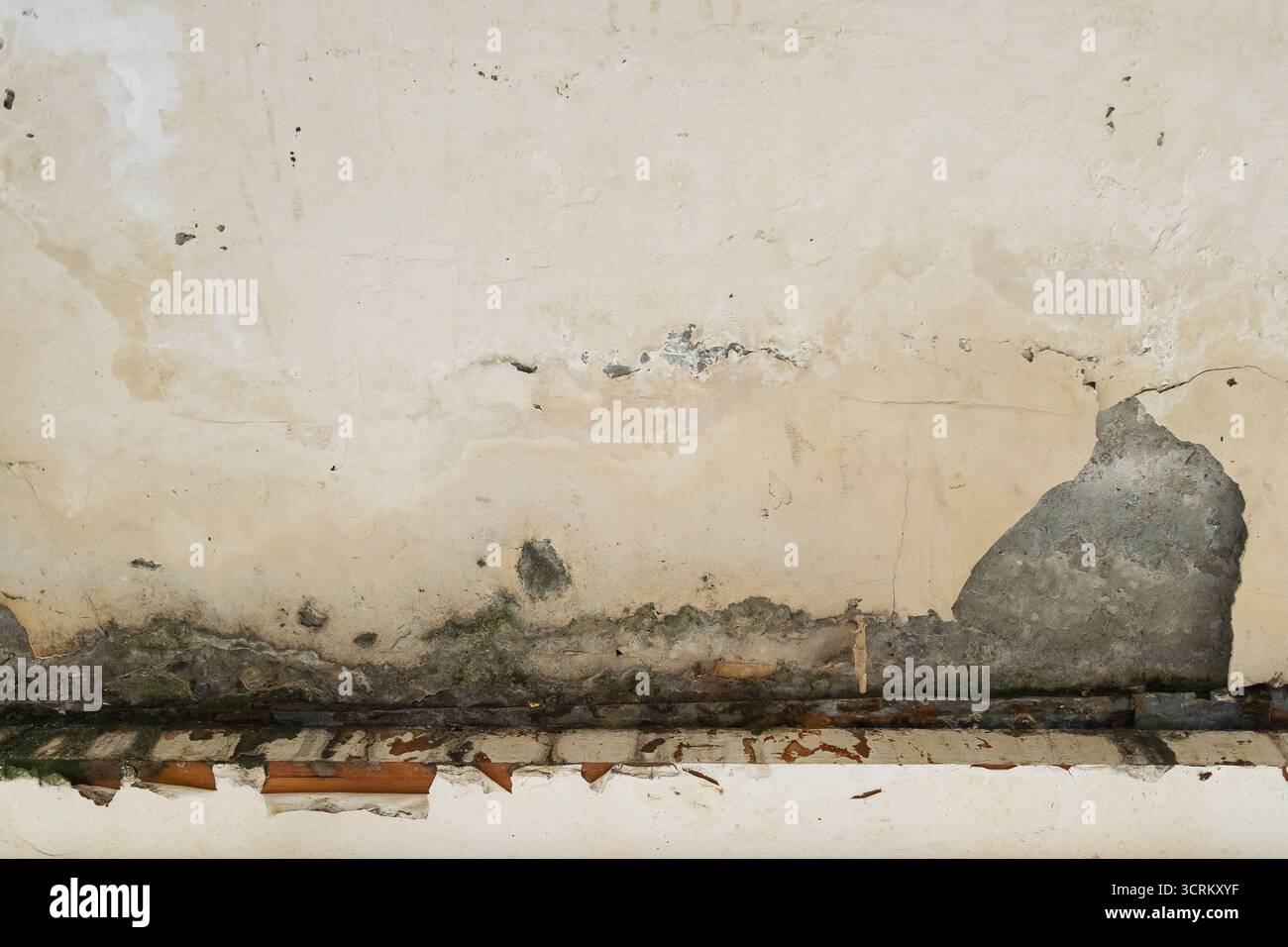Close-up of an old wall showing severe water damage, cracked plaster ...