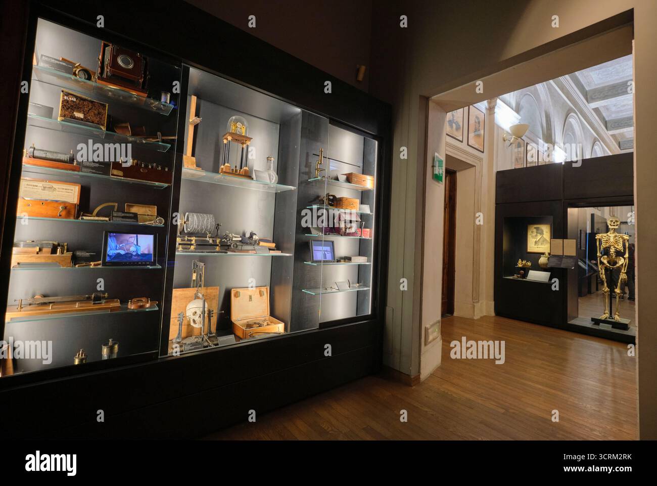 Museo di antropologia criminale cesare lombroso hi-res stock ...