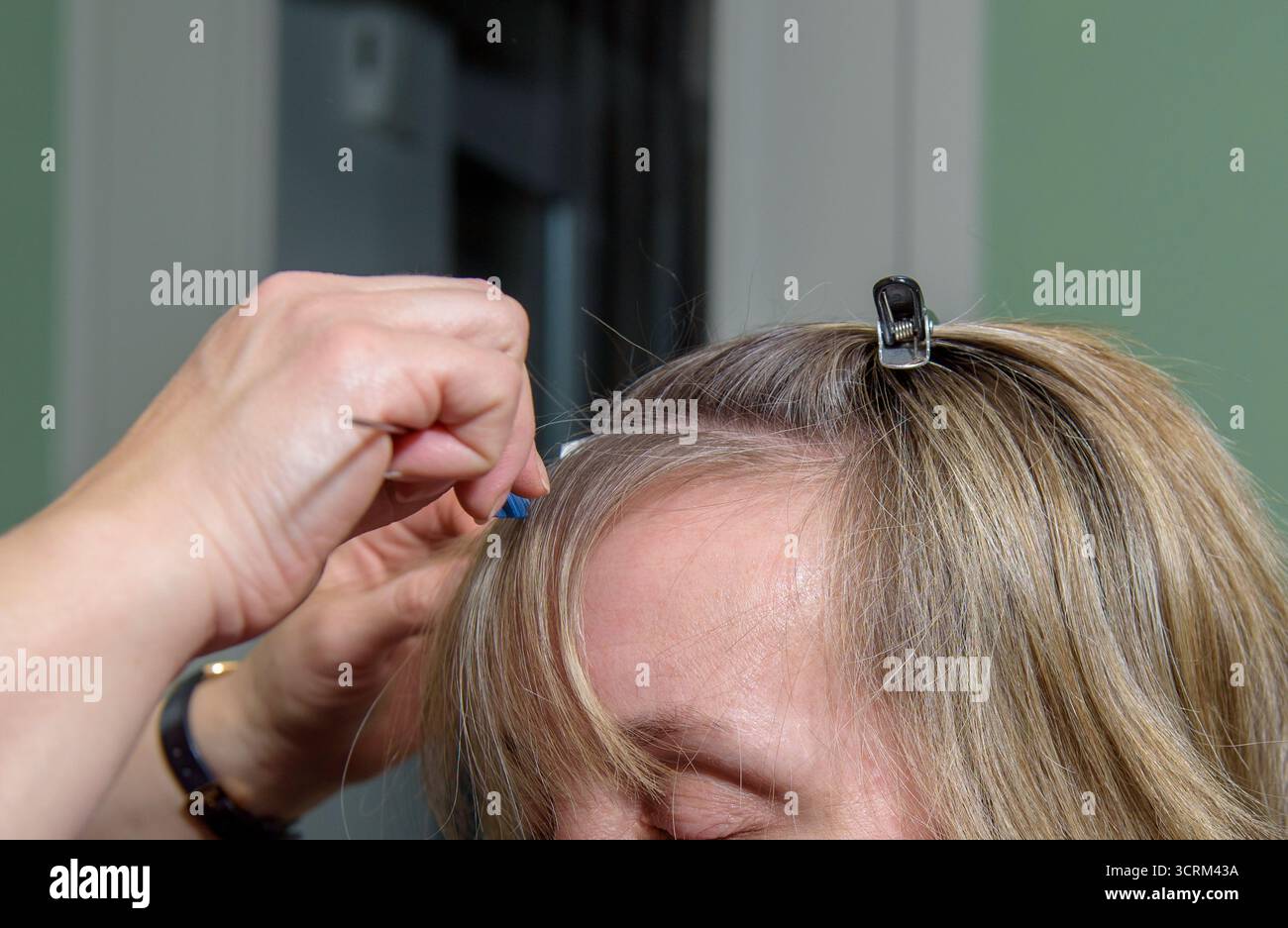 Fixing the hair on the head during the dyeing process. use of foil ...