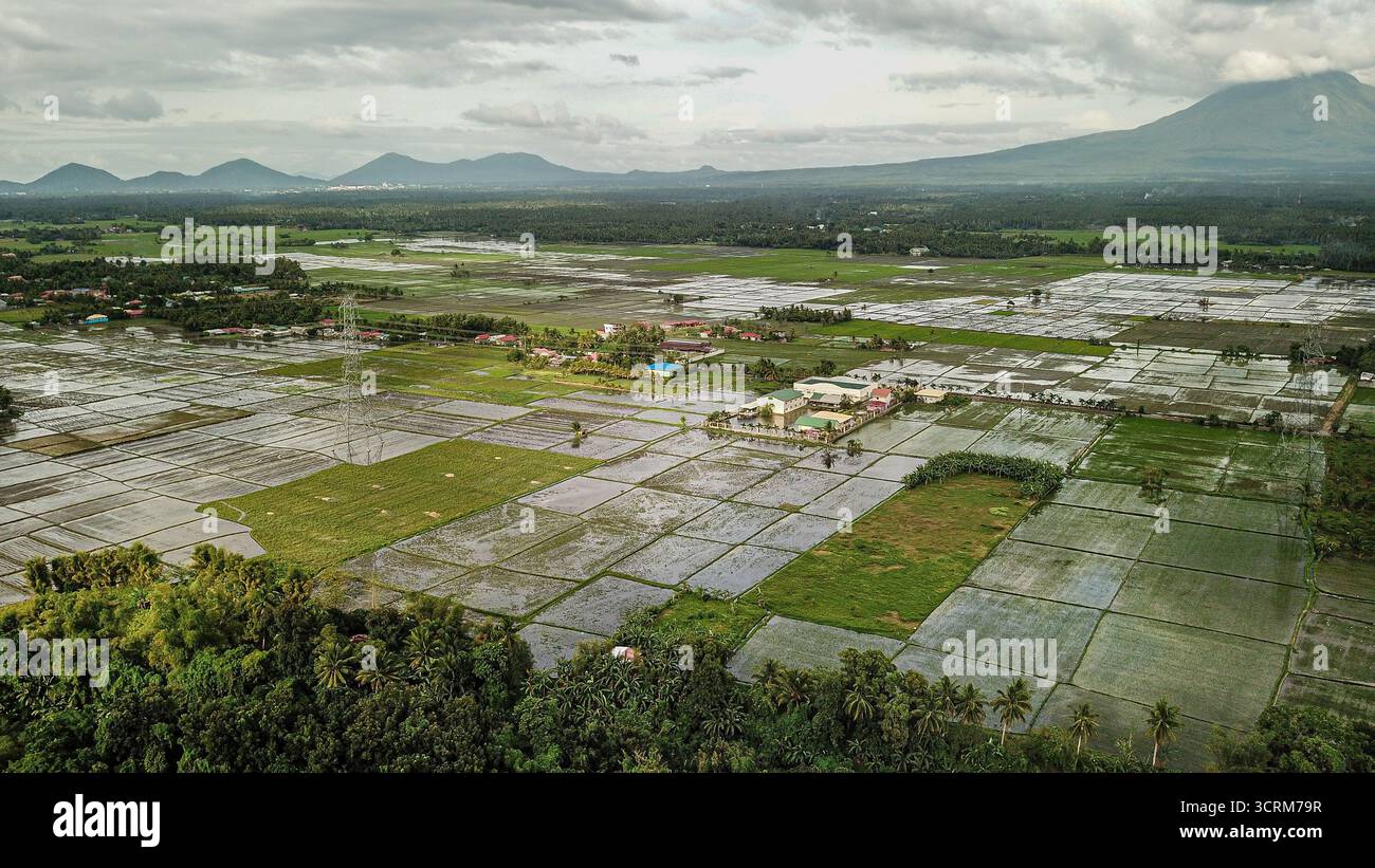 Aerial drone view of Mount Banahaw, flooded rice fields, South Luzon ...