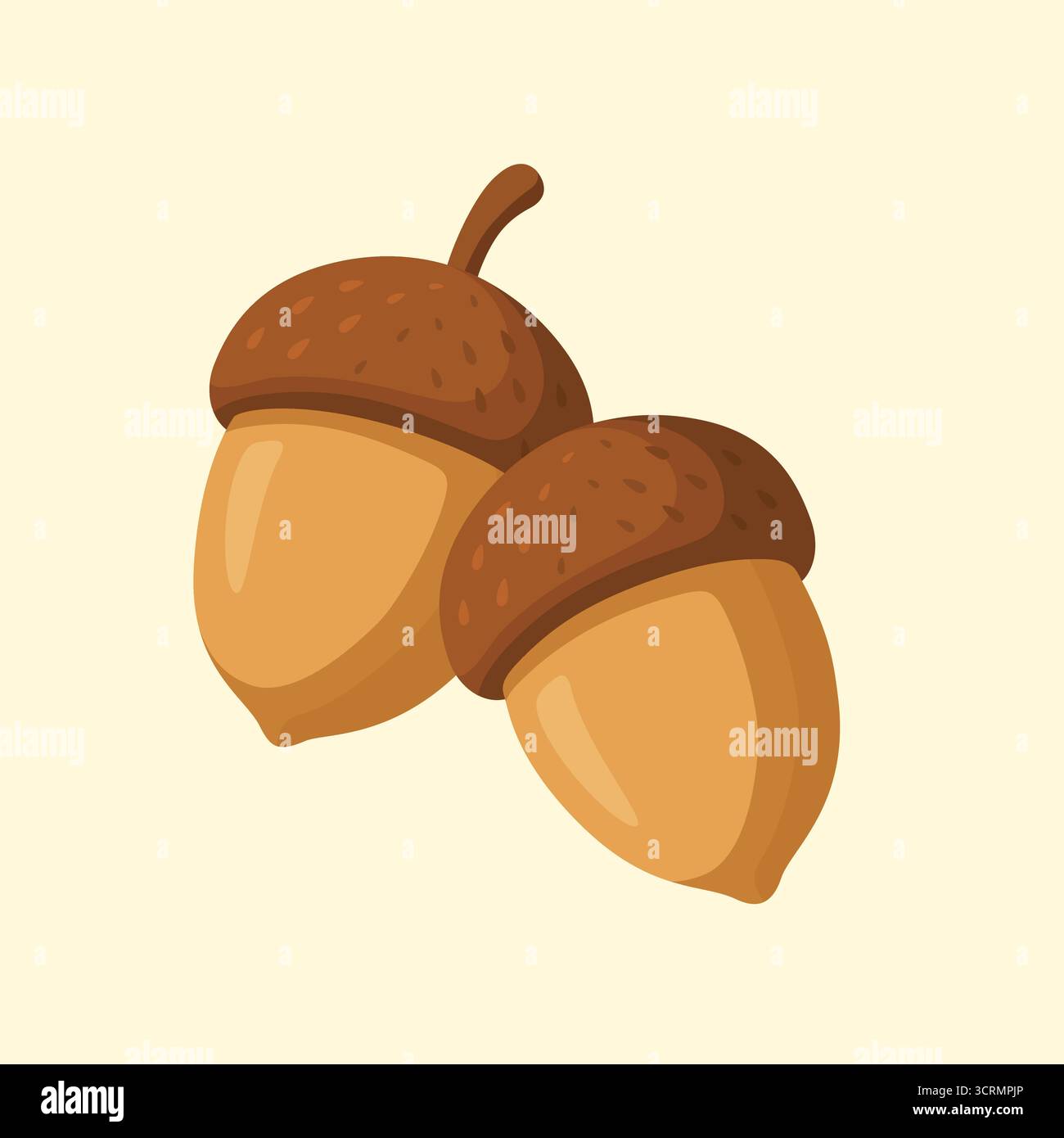 Acorns in autumn isolated Stock Vector Images - Alamy