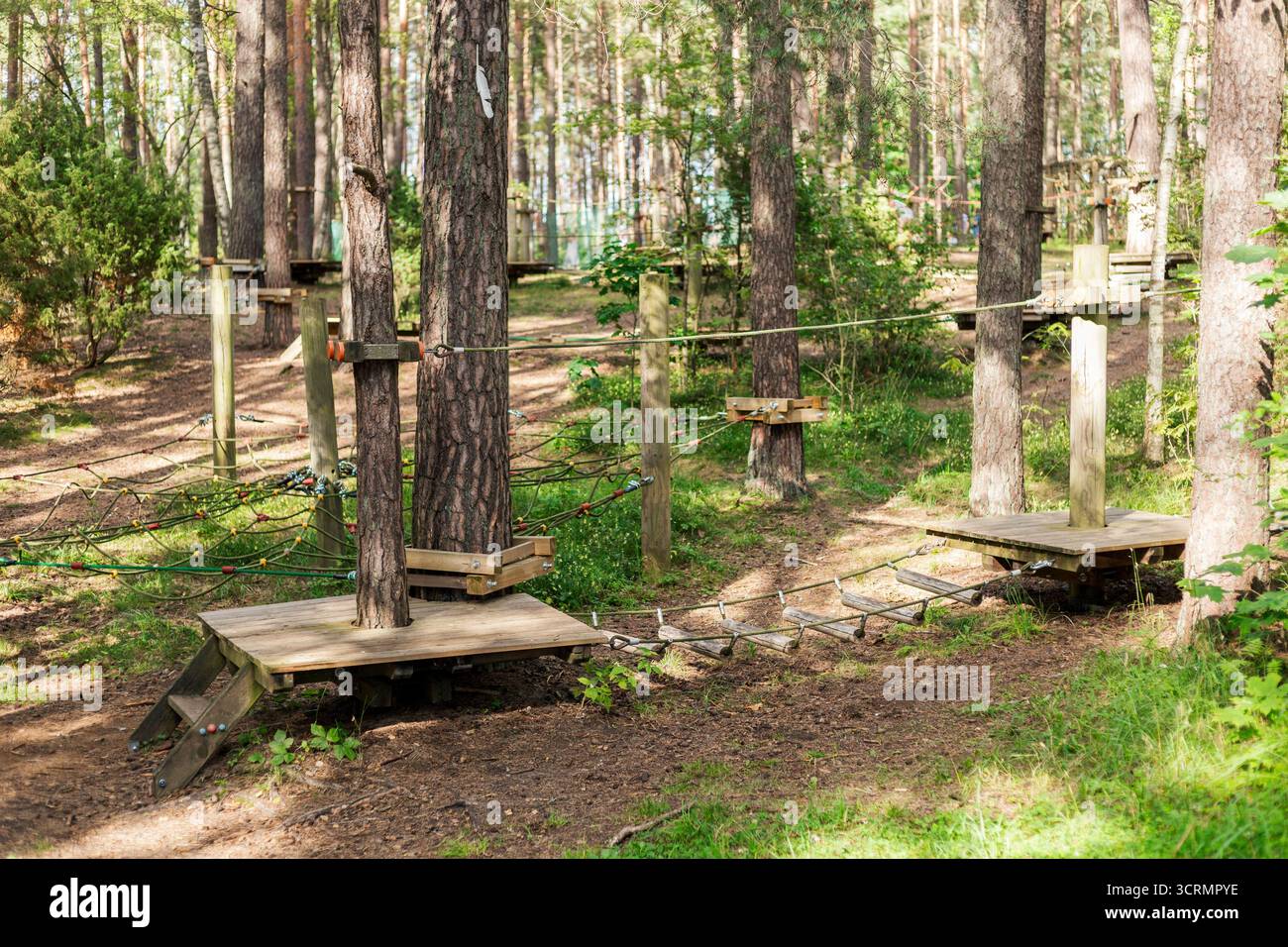 Wooden platforms between trees hi-res stock photography and images - Alamy