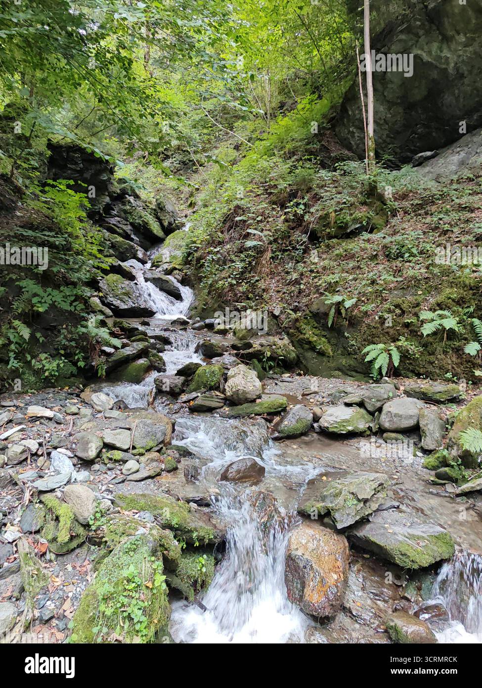 the stream of a brook or a creek in nature stream of a brook or a creek ...