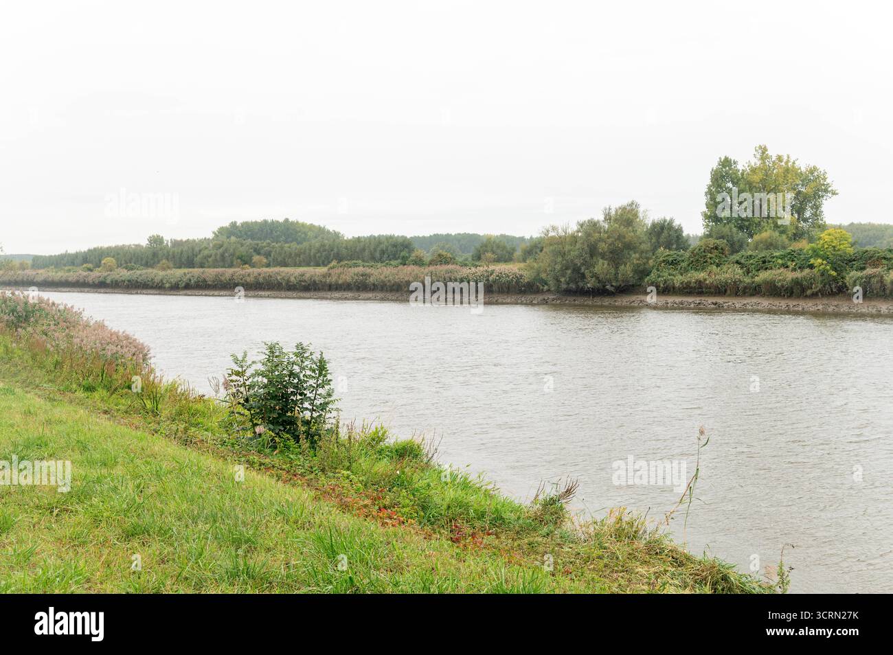 Schoonaarde Belgium September 2025 Muddied banks of the River Scheldt ...