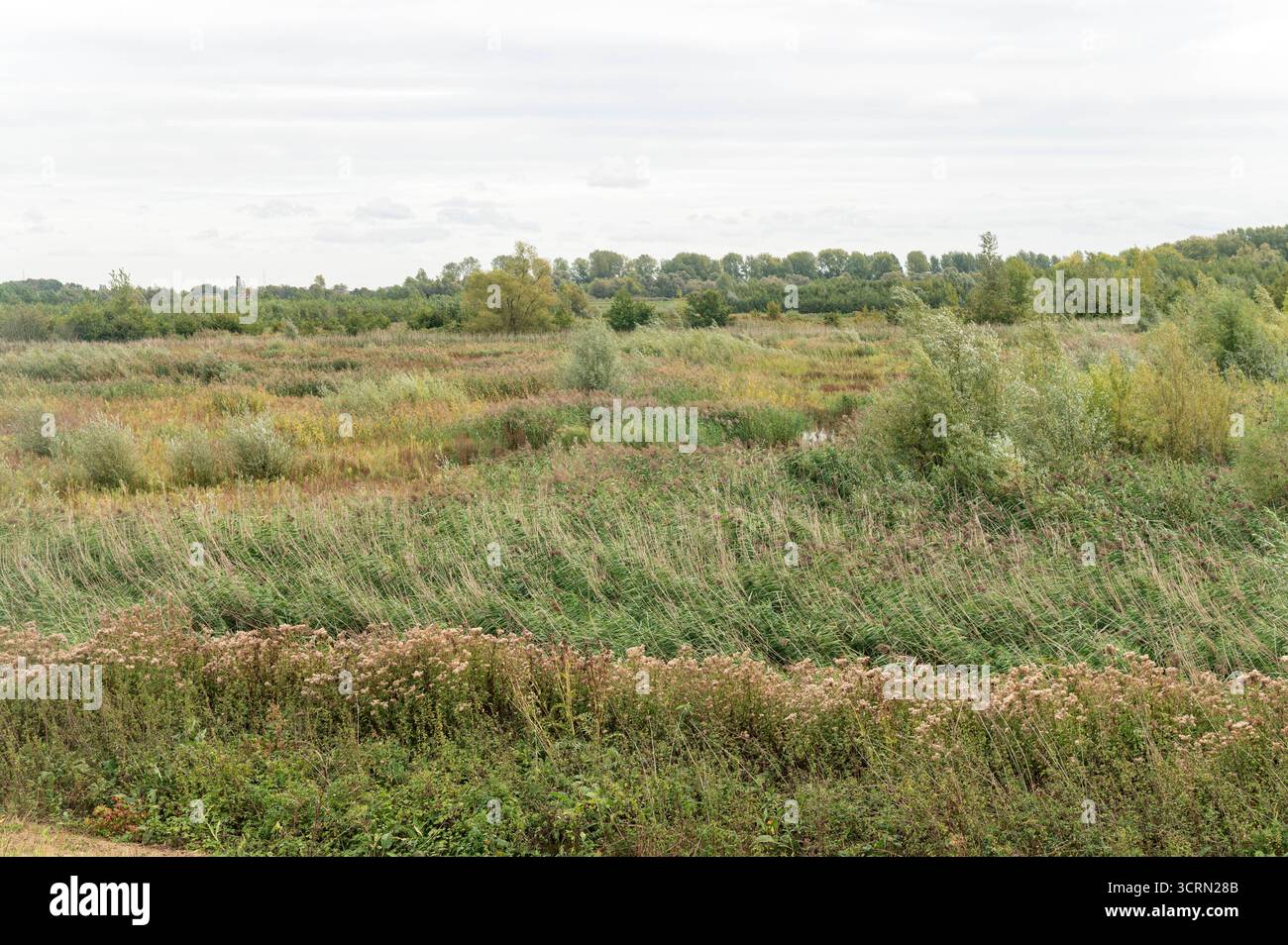 Kastel Belgium September 2025 Nationaal Park Scheldevallei, Scheldt ...