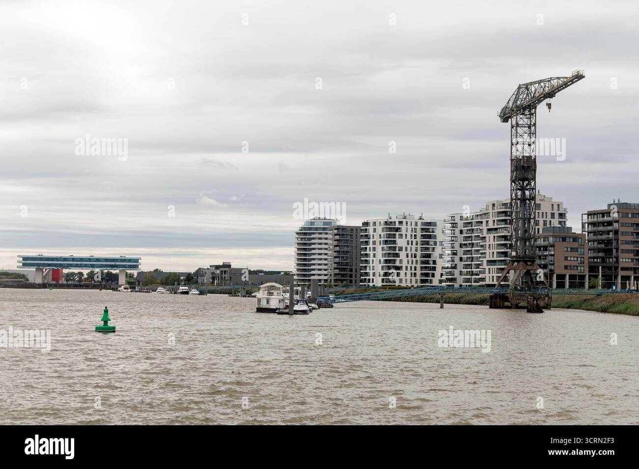 Temse Belgium September 2025 View along the River Scheldt Schelde with ...